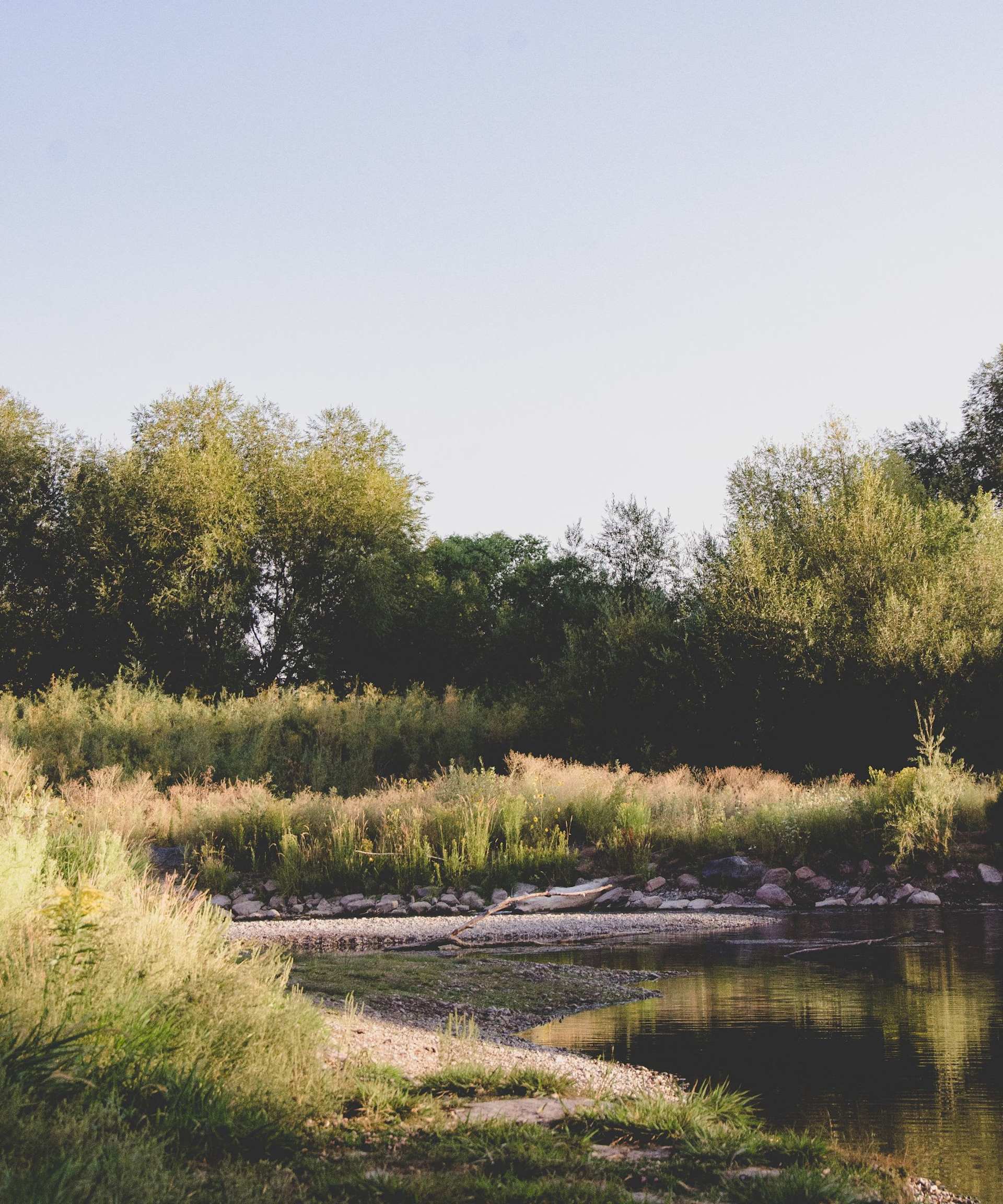 The Amy Rupp Team | Logan Real Estate Professionals