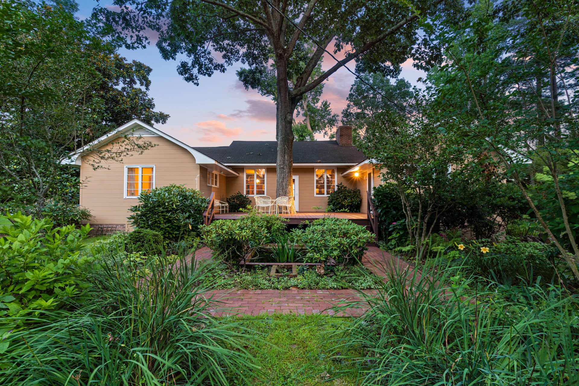 Meet the Team | Tippity Wichity Island | Home In Collective