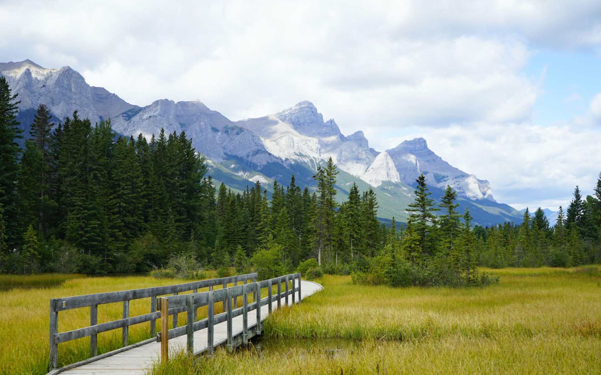 Real Estate Durango Colorado – Discover Your Dream Home