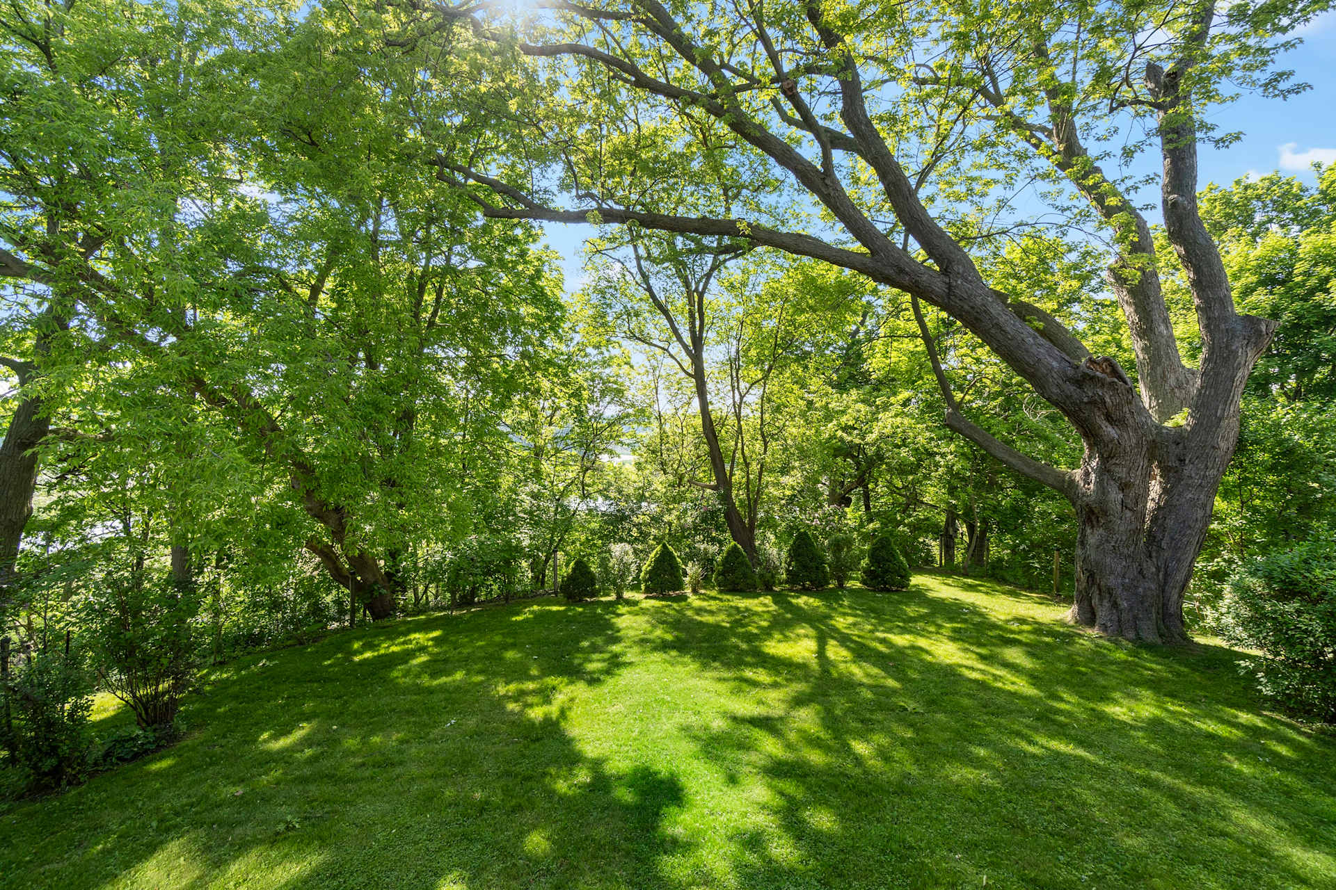314 Dyson Road