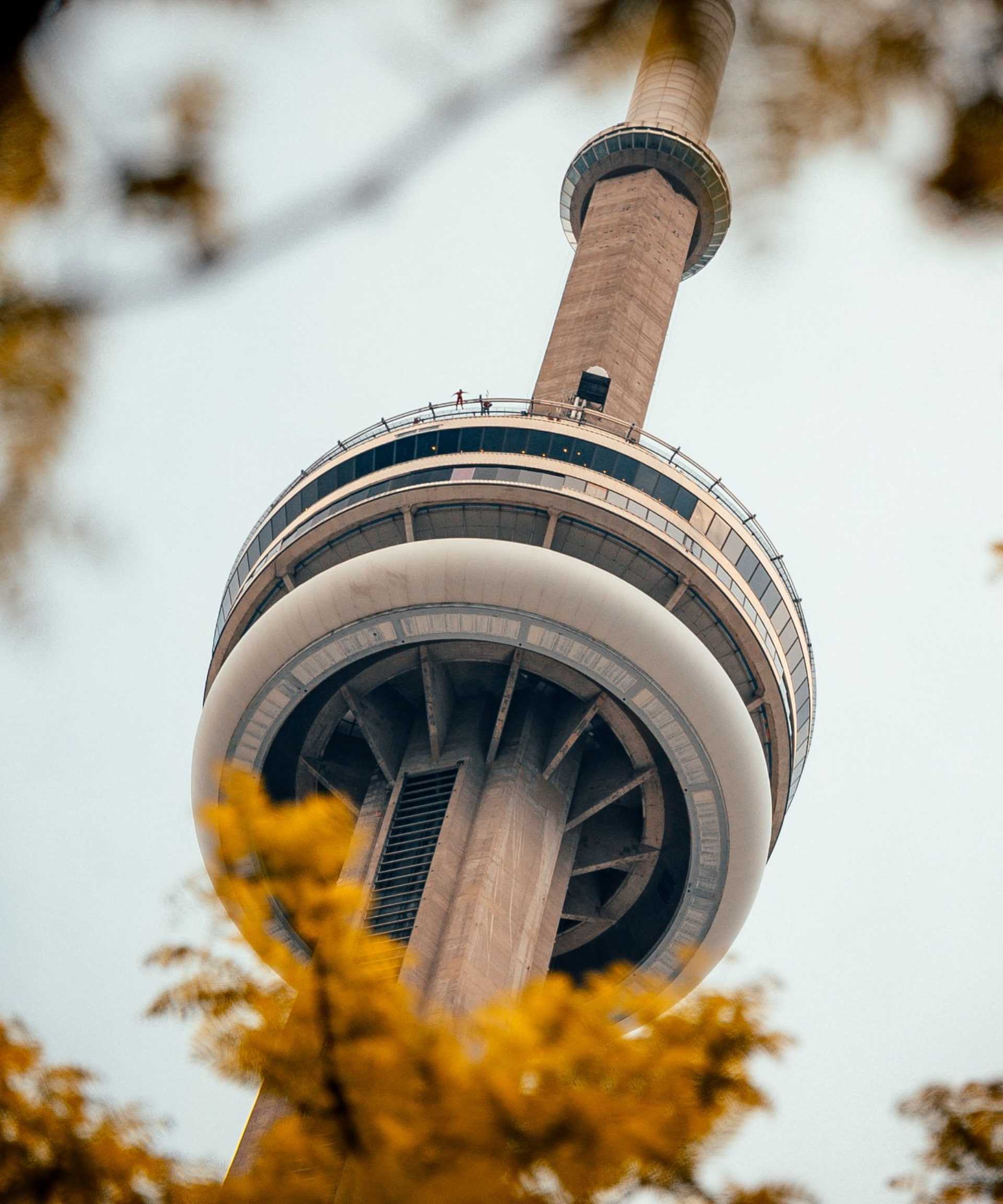 Andrew Persaud | Toronto, ON Real Estate Agent