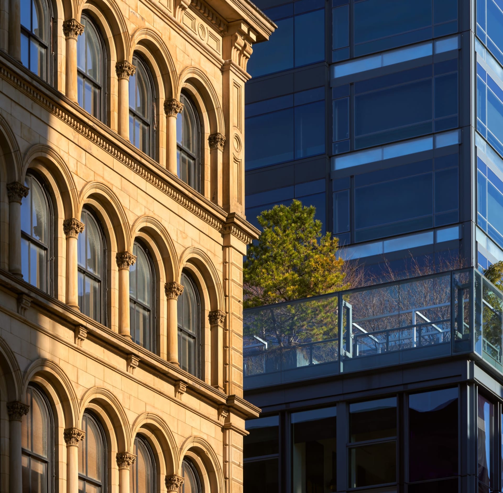 Adam Arian | New York Real Estate Agent