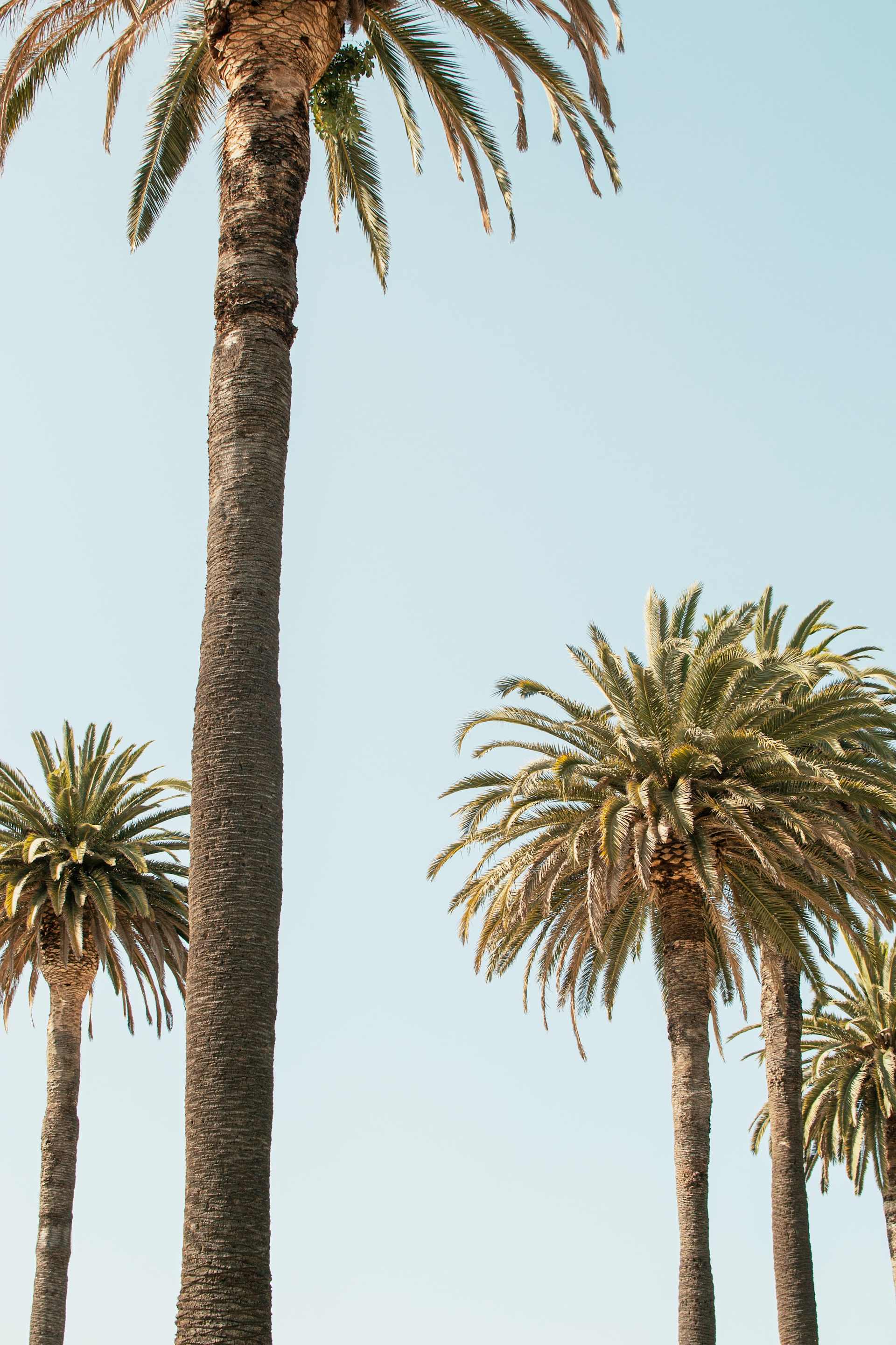 Brooke Russell | San Diego, CA Real Estate Agents