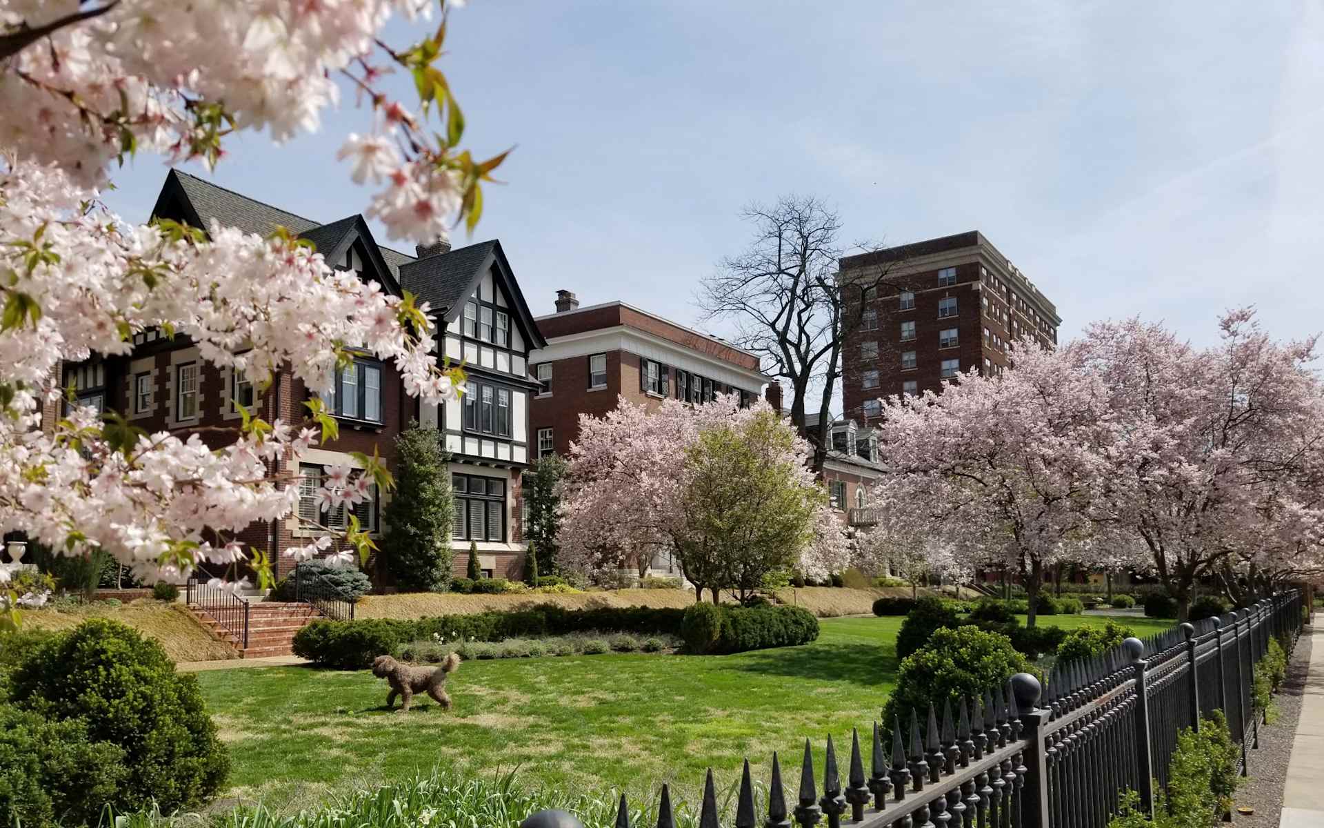 St. Louis Real Estate | The Jeff Lottmann Group