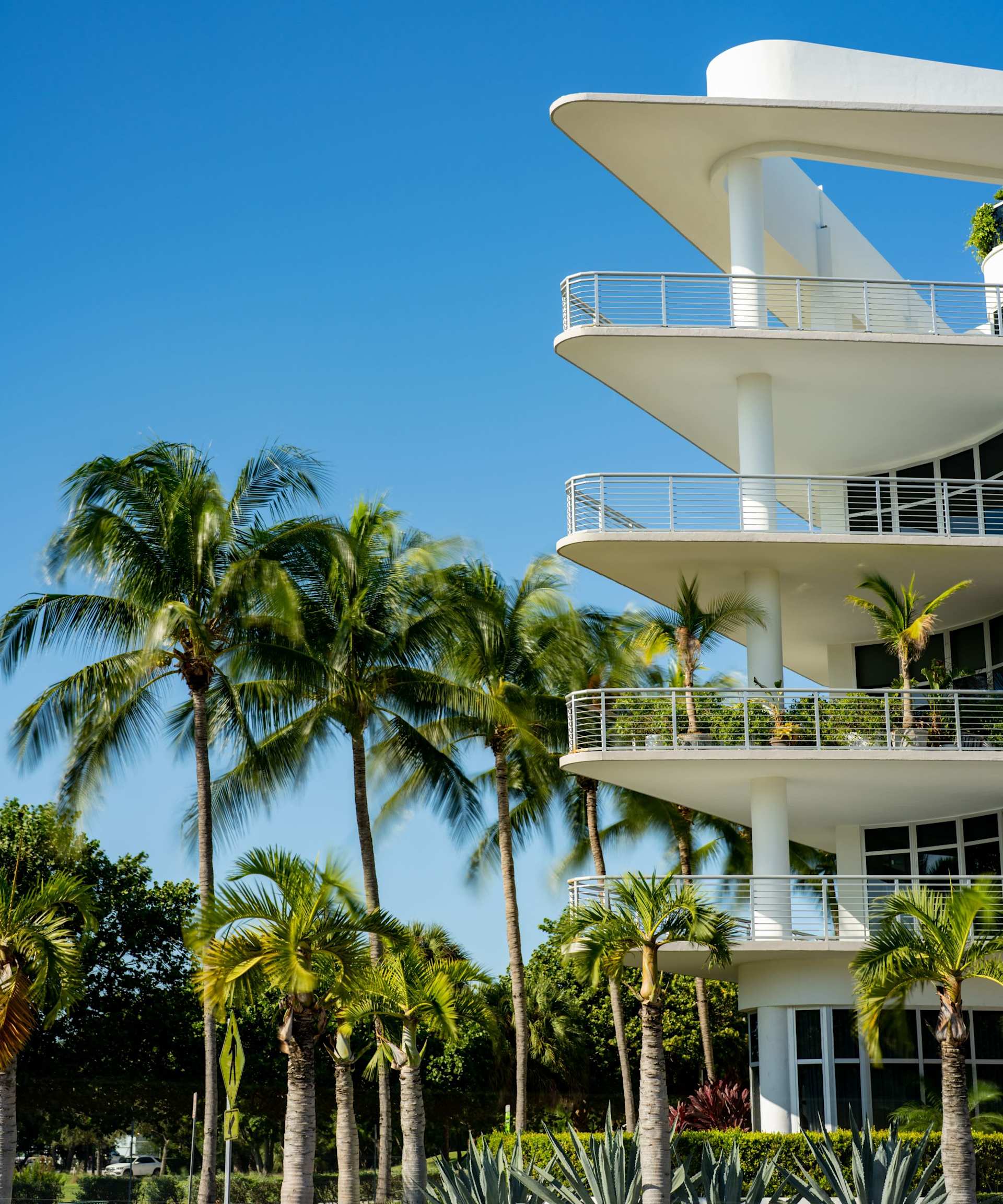 Alejandro Alvarez | Miami Real Estate Expert