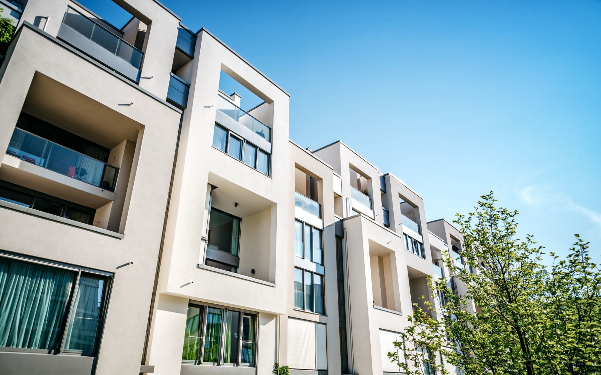 The Weiss Group | Austin Real Estate Experts