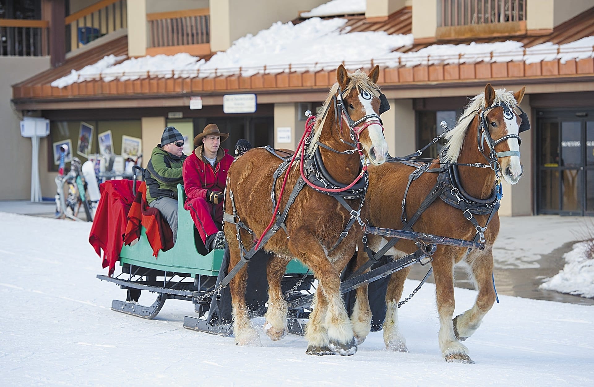 Hal Lott | Durango Real Estate Professional