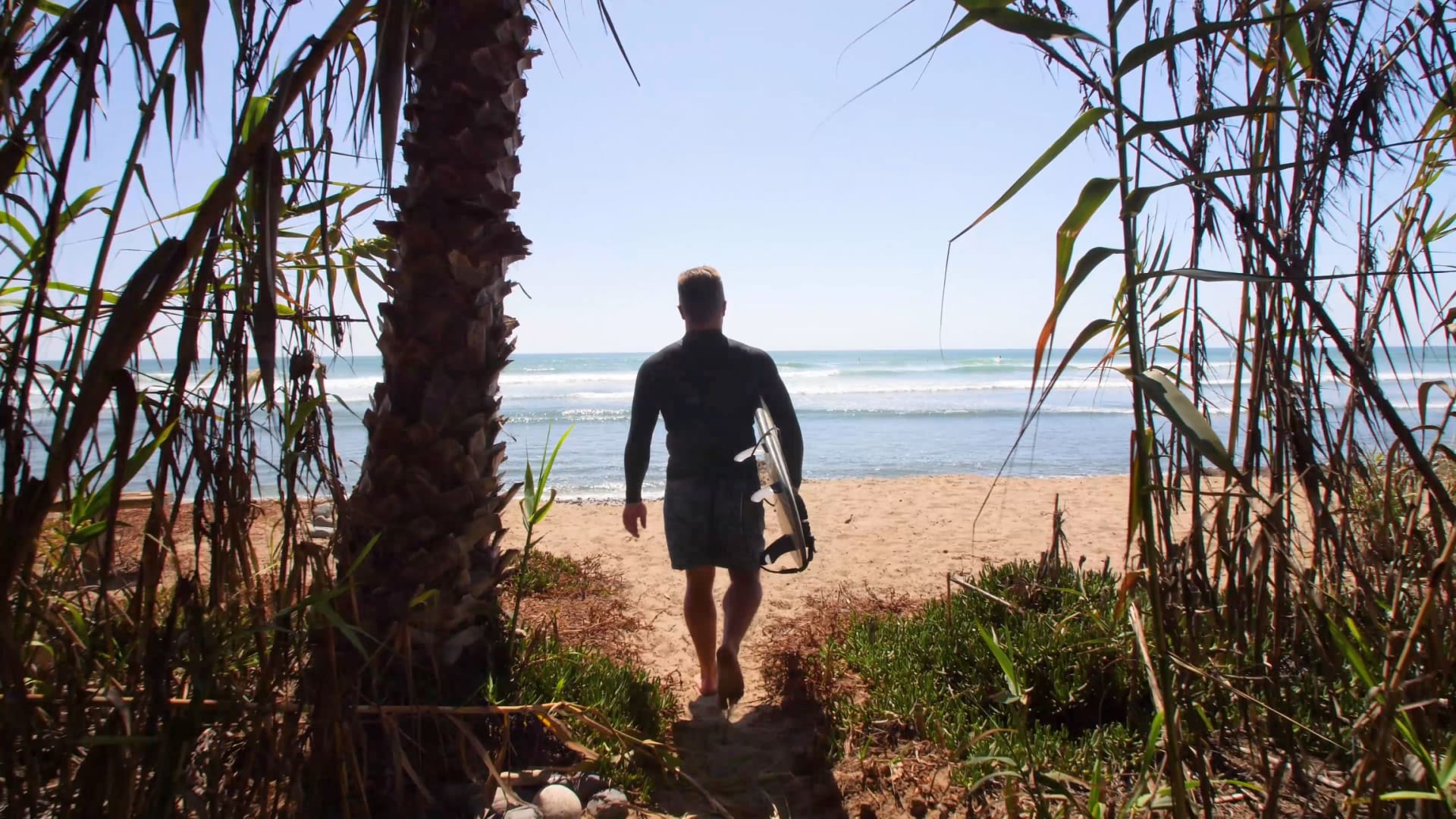 San Clemente Real Estate Agents & Realtors | Echelberger Group