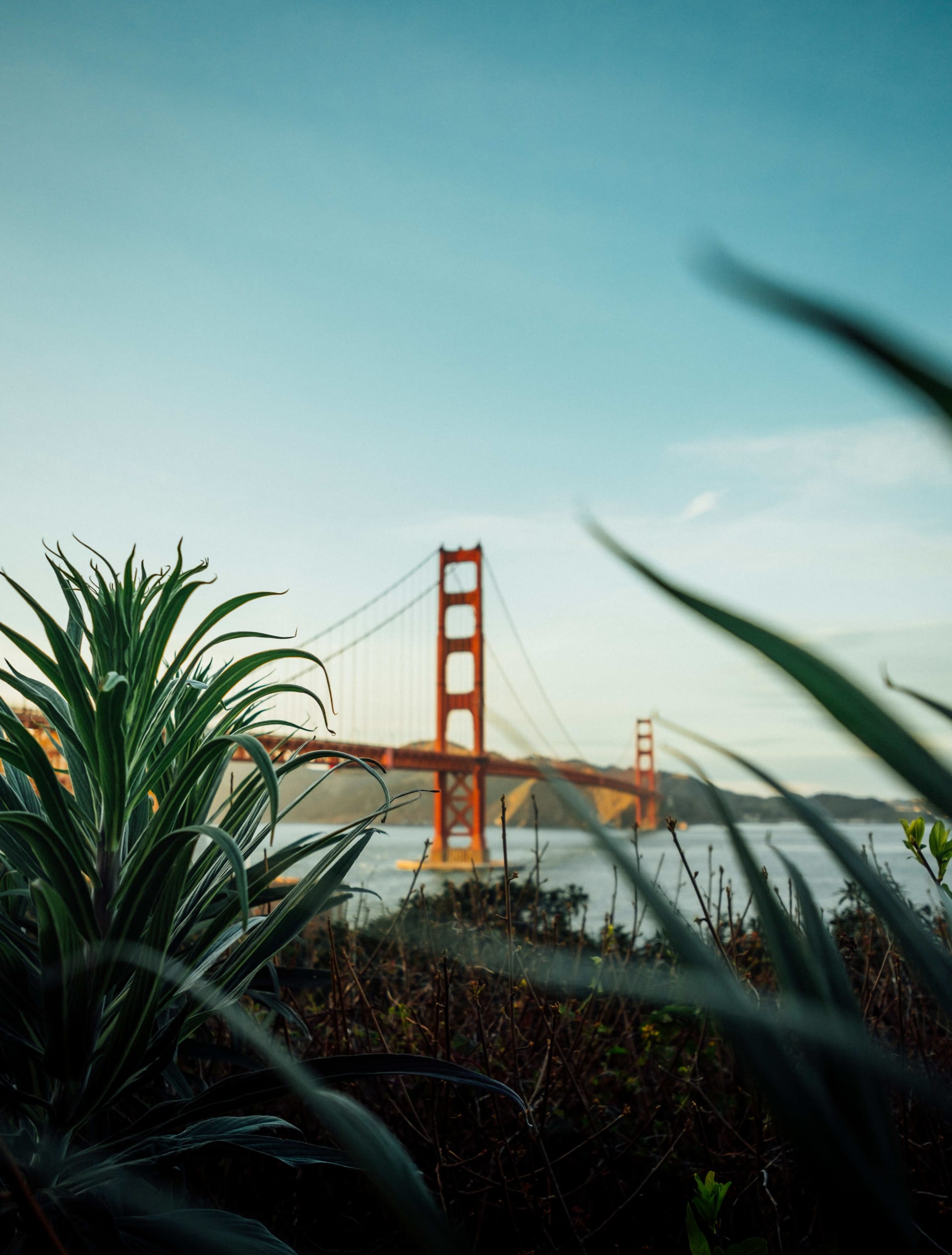 Cooper Gaines | San Francisco Real Estate