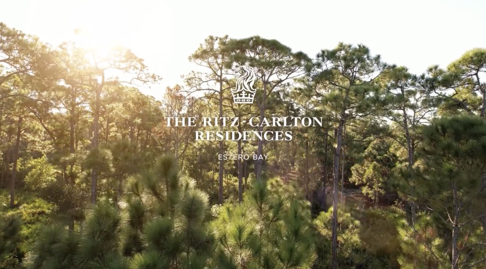 Dawn McKenna: Top-Ranked Chicago Luxury Real Estate Agent