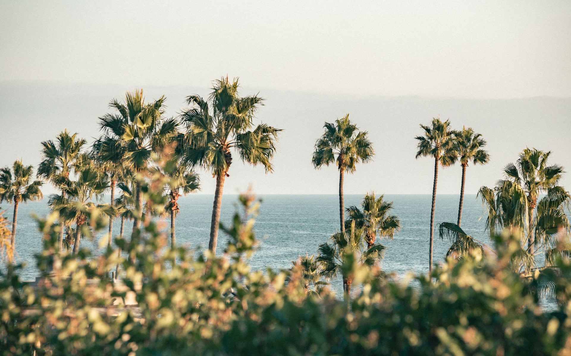 Explore Neighborhoods in Mexico Beach | Cameron Harmon