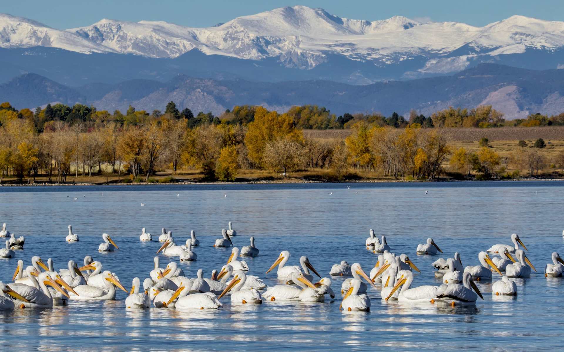 Explore Places to Live in Denver | LSP Real Estate LLC