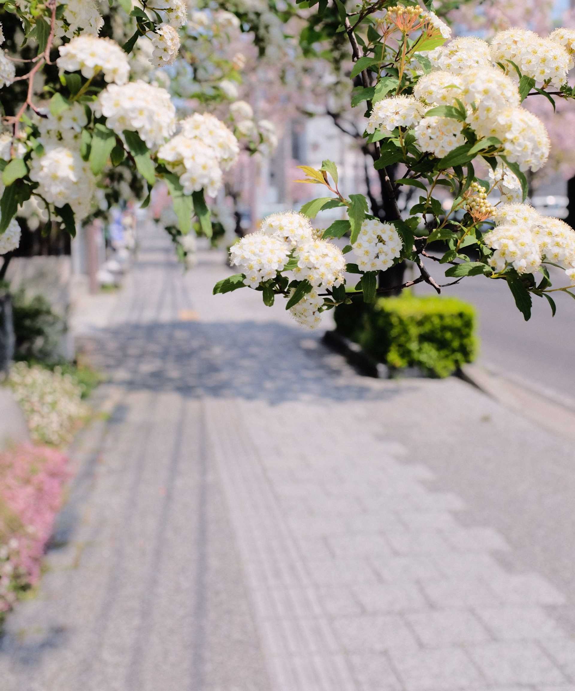 Lynzi Kiser | Georgia Real Estate Agent Expert