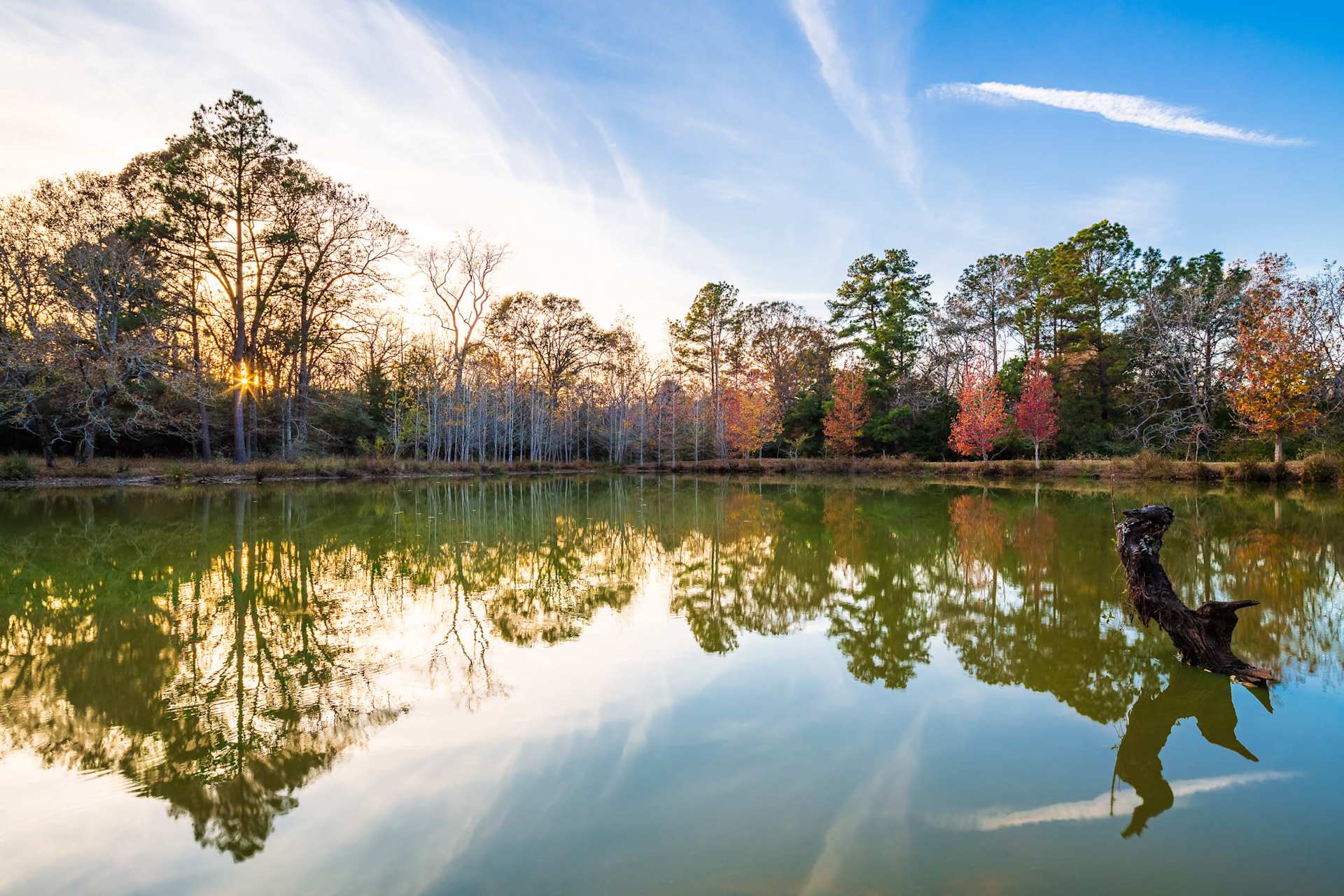 Gaines Slade | Texas Land and Ranch Real Estate Expert