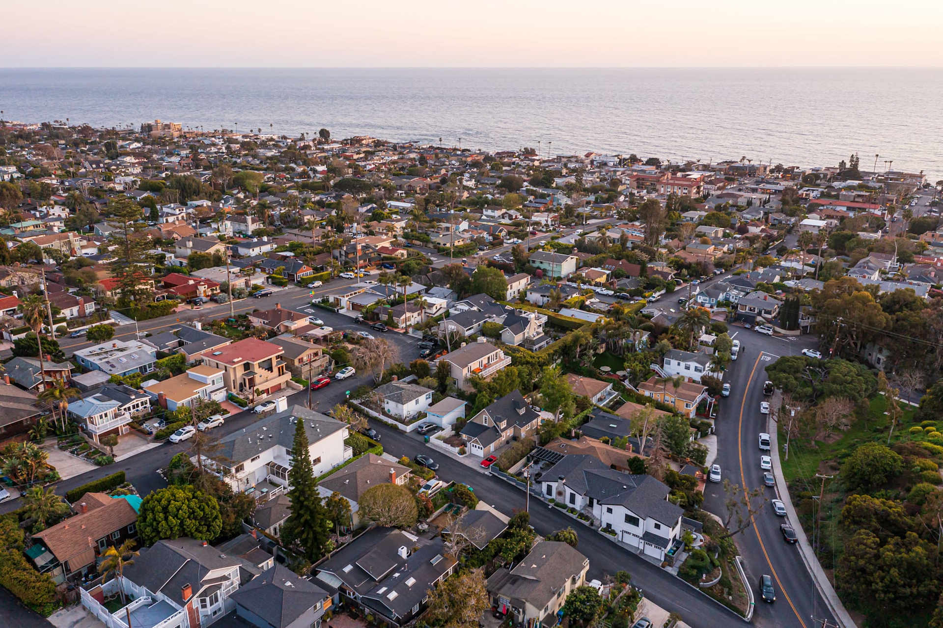 Buyer's Guide | Domaine Luxury Group