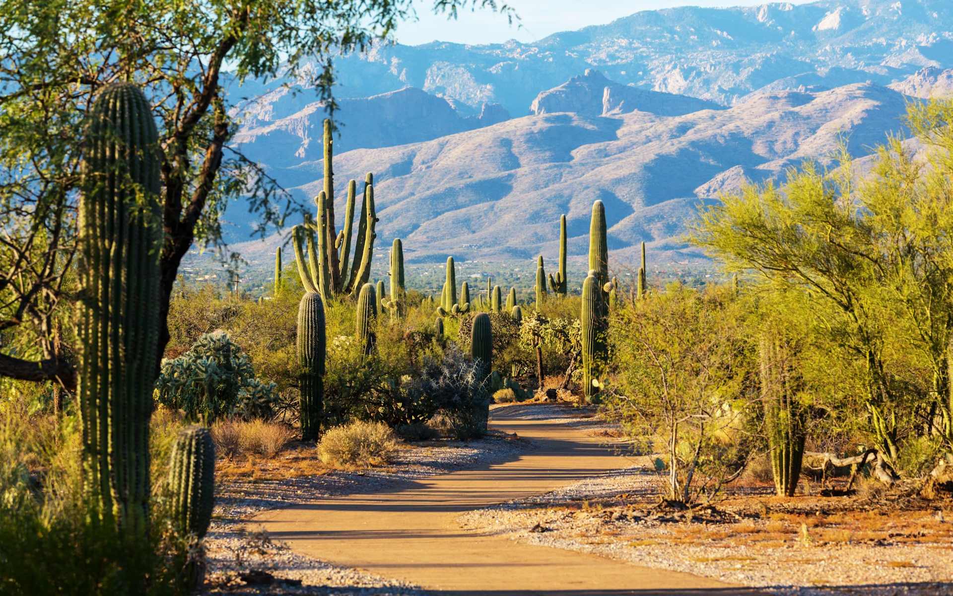 Best Places to Live in Las Vegas | Joey Andron