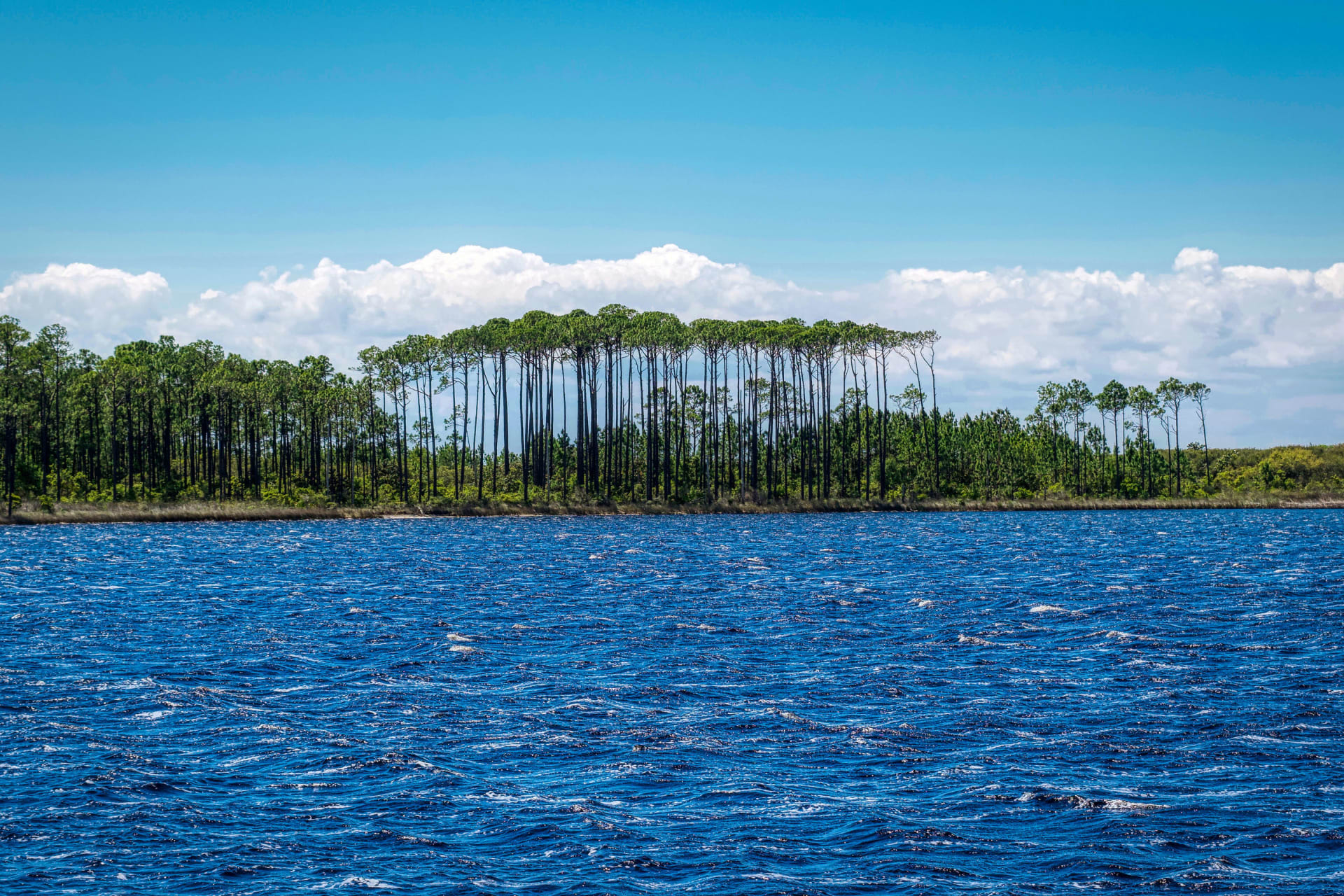 Allison Freeman | 30A Real Estate