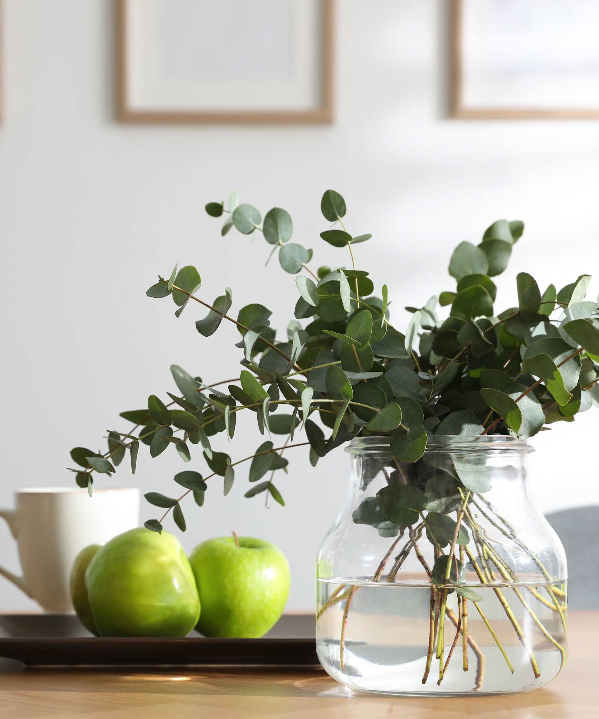 Jamie Grossman | Massachusetts Real Estate Agent