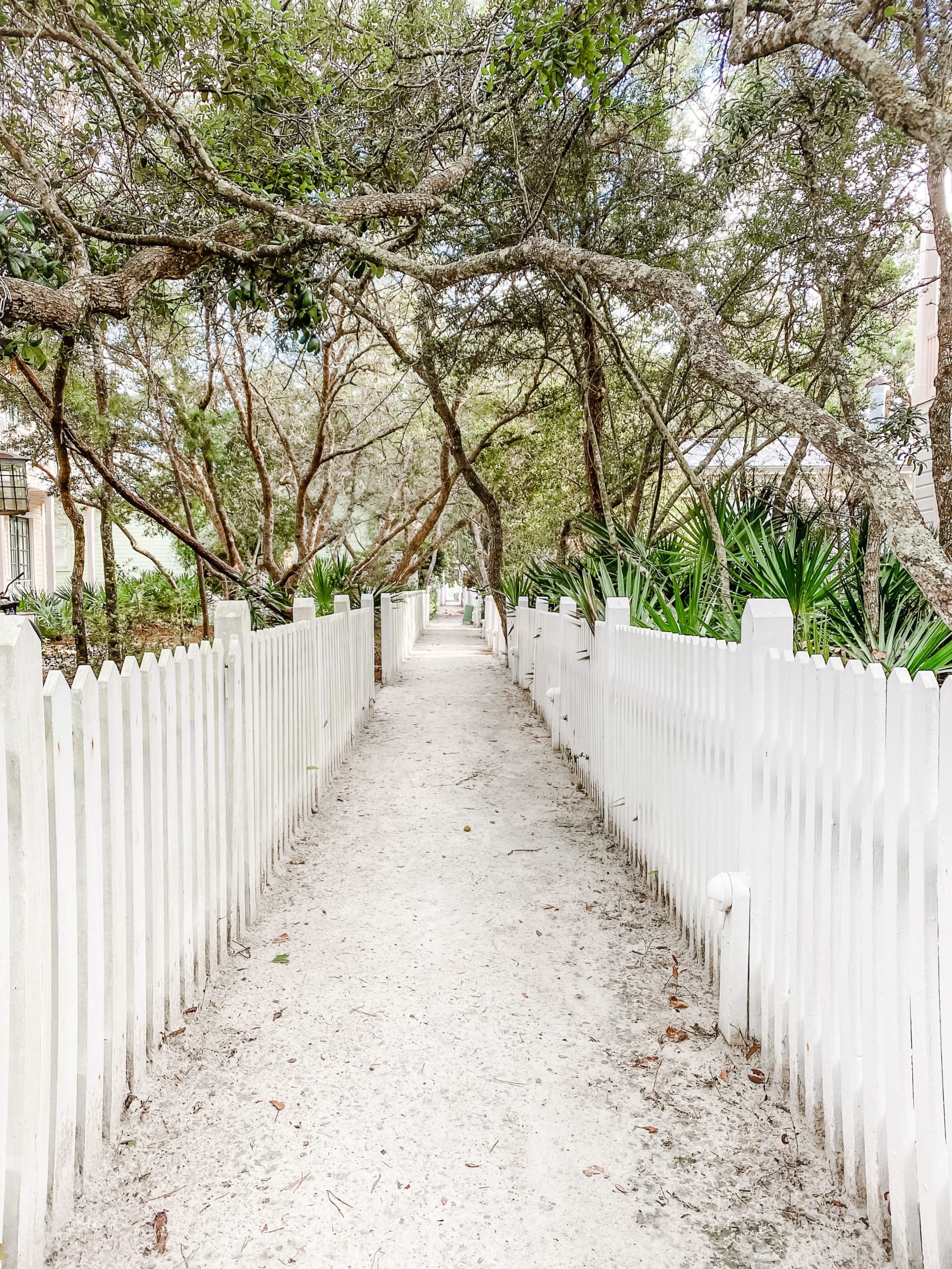 Allison Freeman | 30A Real Estate