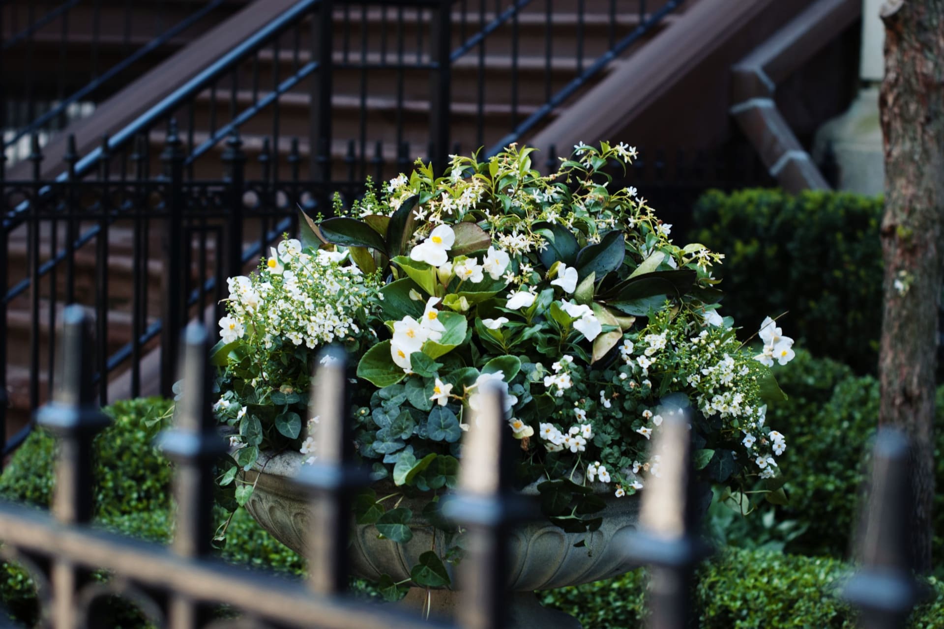 Sarah Minard Hake | DC Metro Region Real Estate Agent