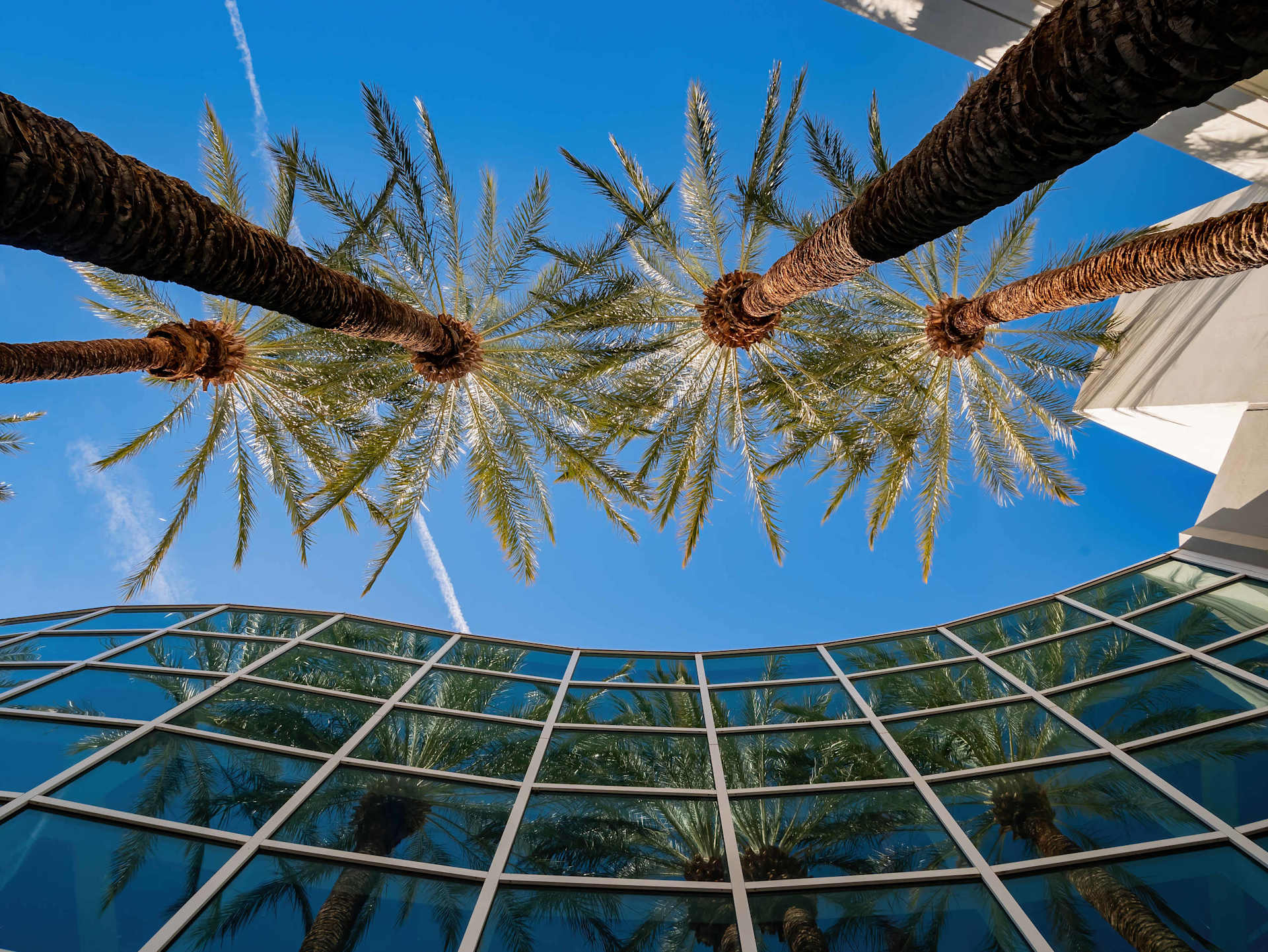 Dale Ouellette | Las Vegas, NV Real Estate Agent