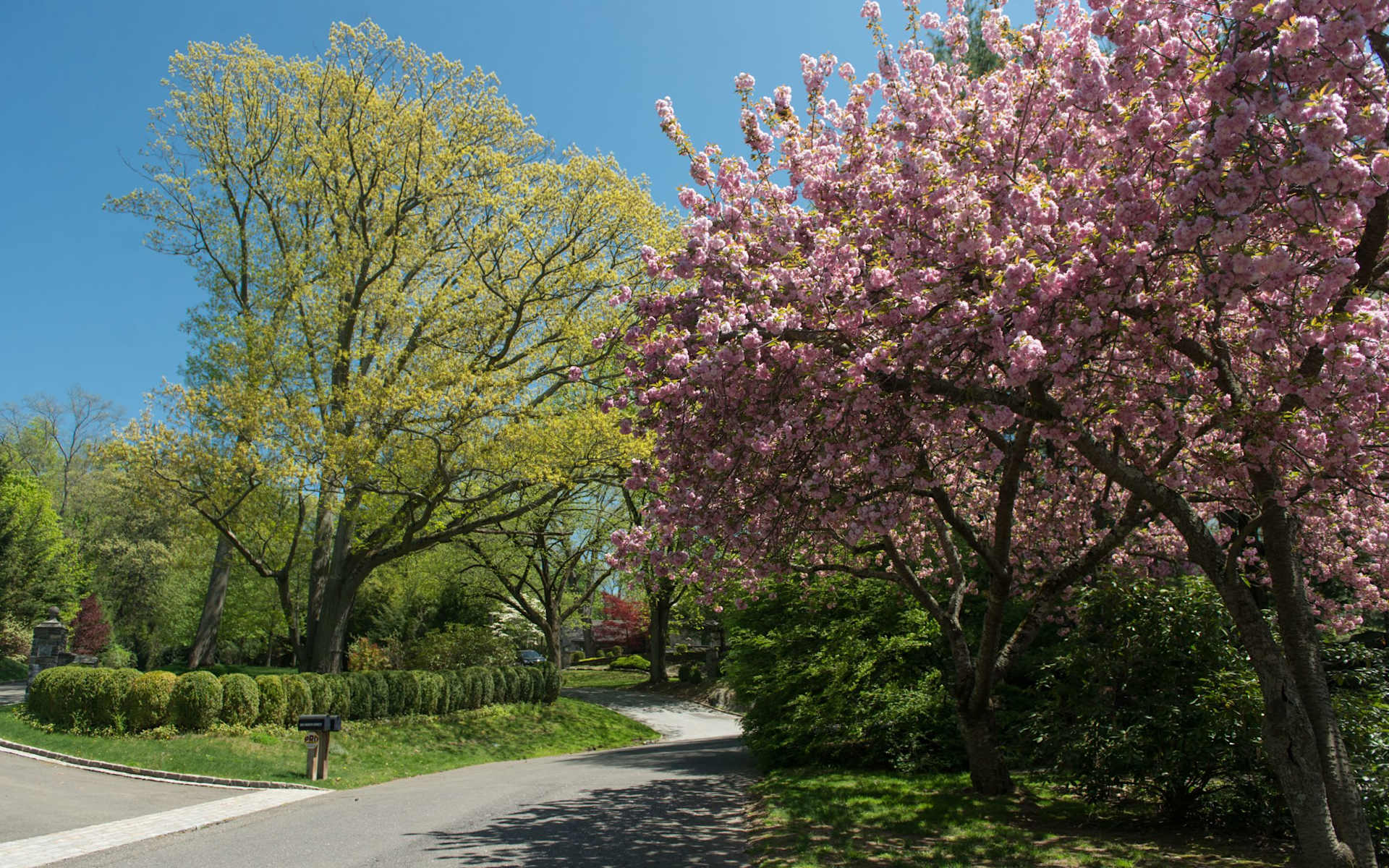 Neighborhoods | Westport Real Estate | Marion Filley Team