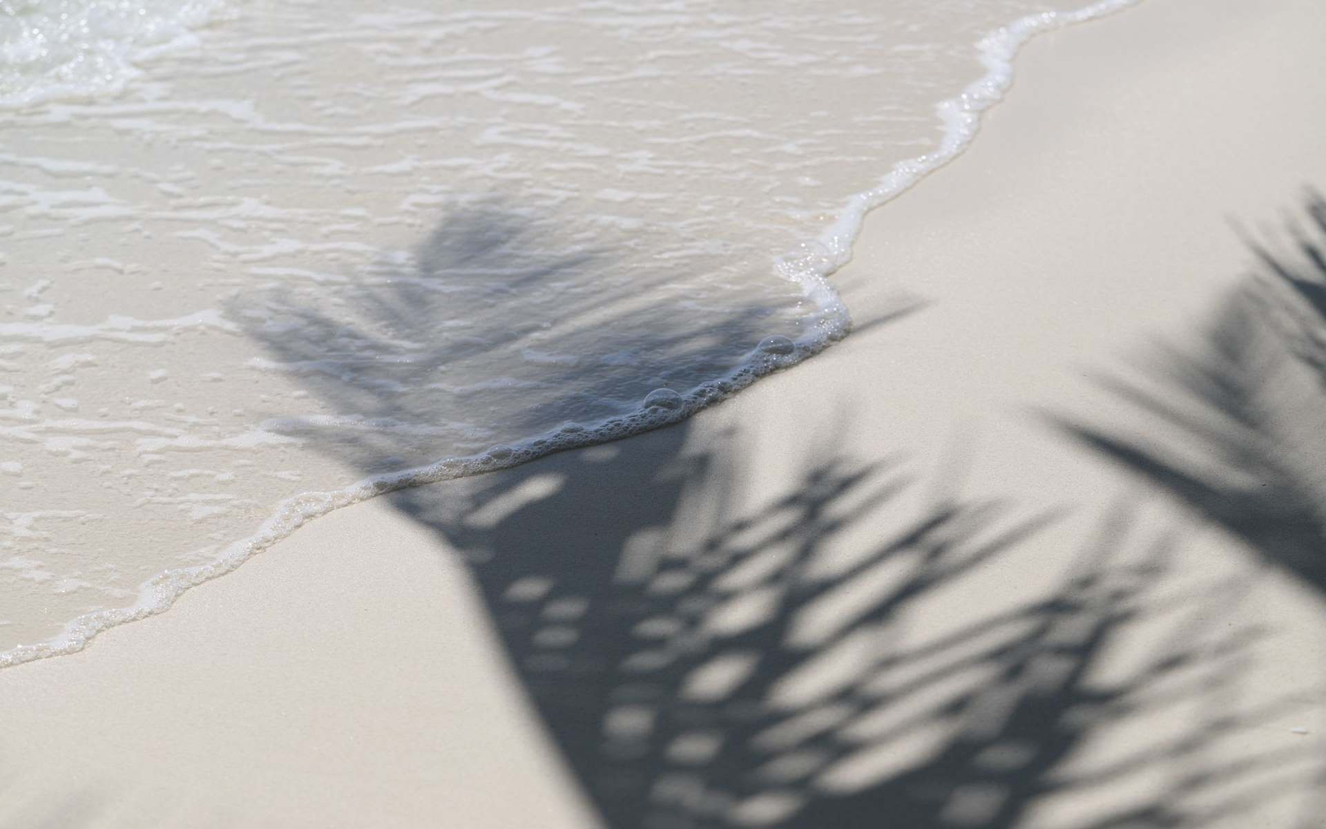 Marcus Boyle | Real Estate Agent Serving California