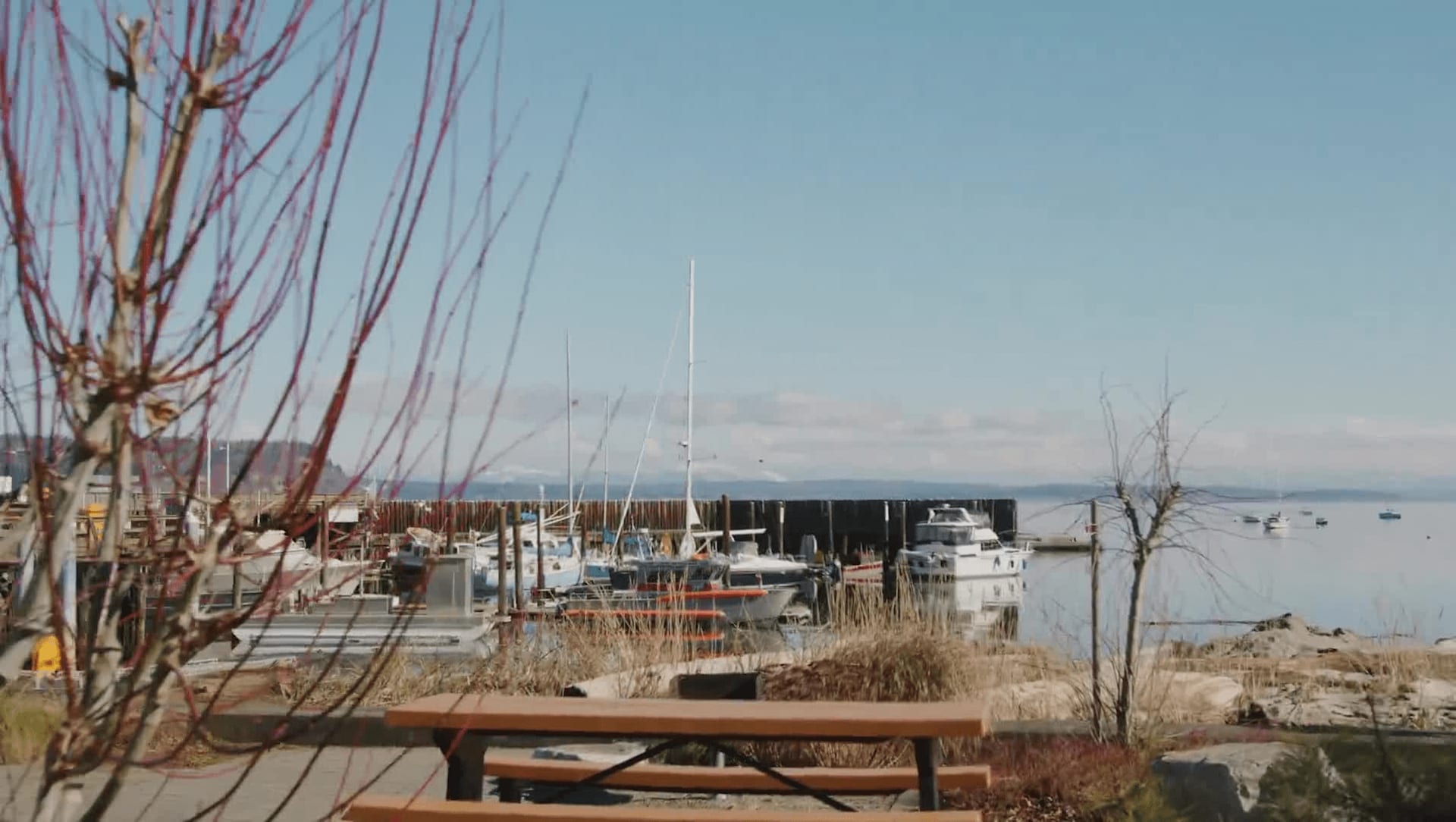 Team Langley Langley Real Estate Experts