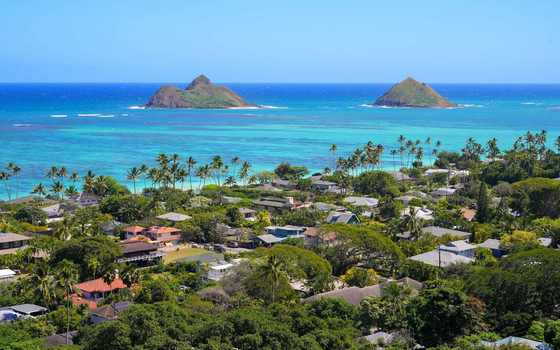 Kailua Community Guide | Steve Cohen
