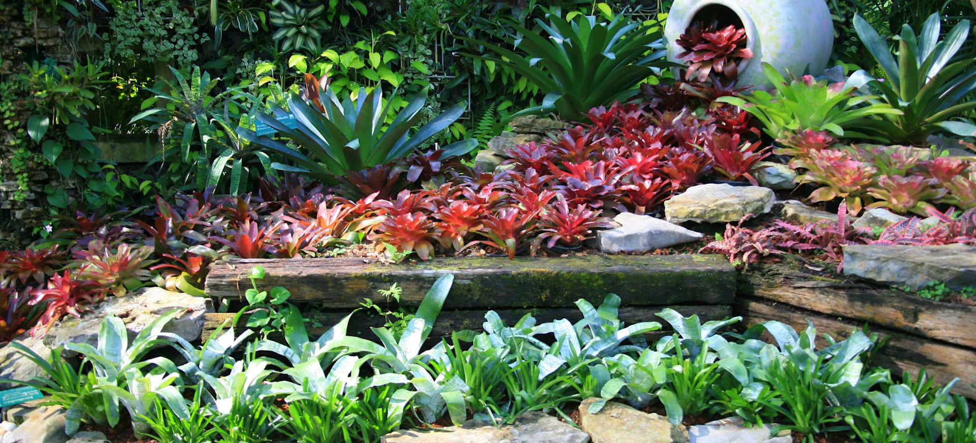 Miami gardens and outdoor spaces