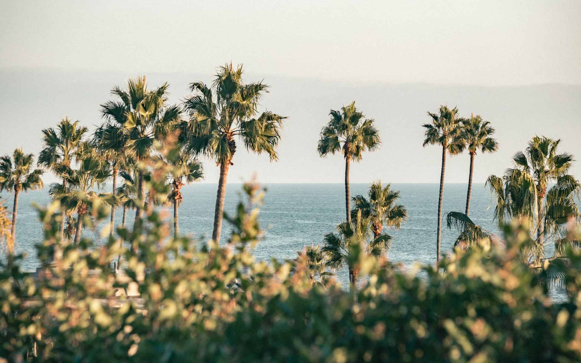 Client Testimonials & Success Stories | Michael Hahn