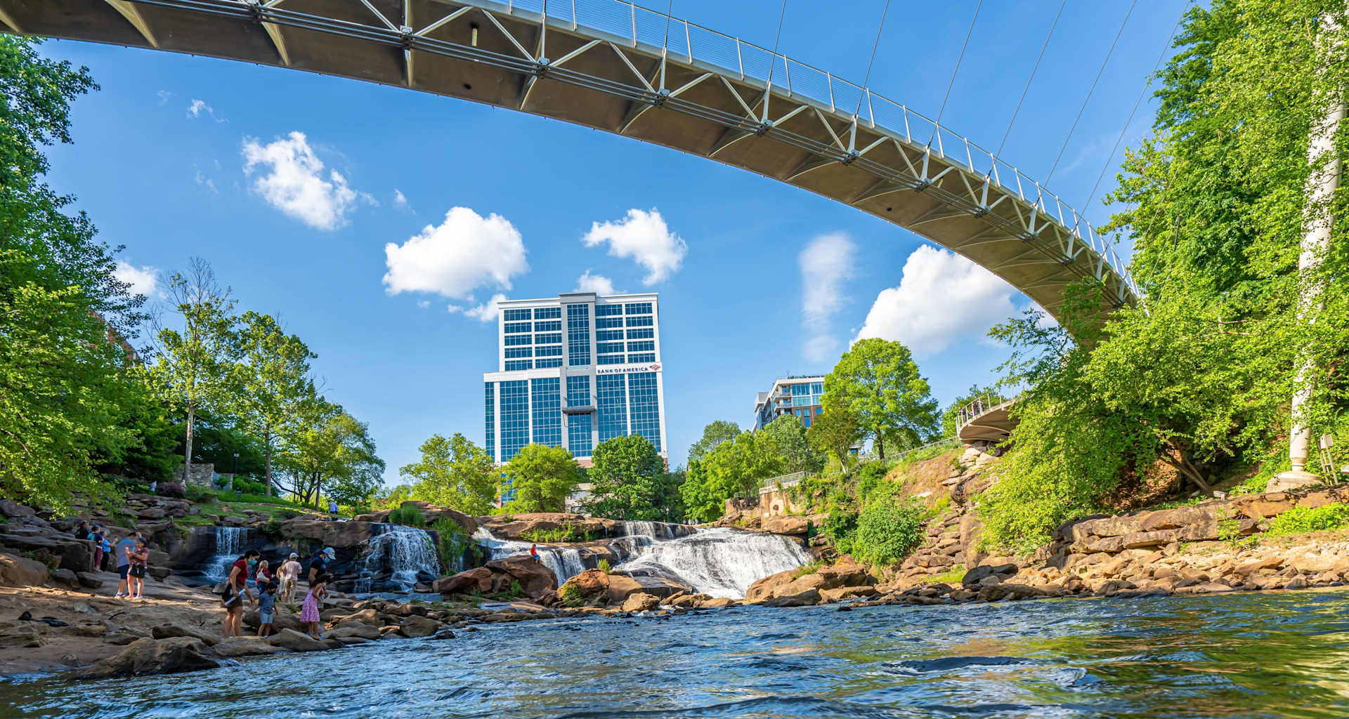 David Dunford | Greenville SC Real Estate Agent