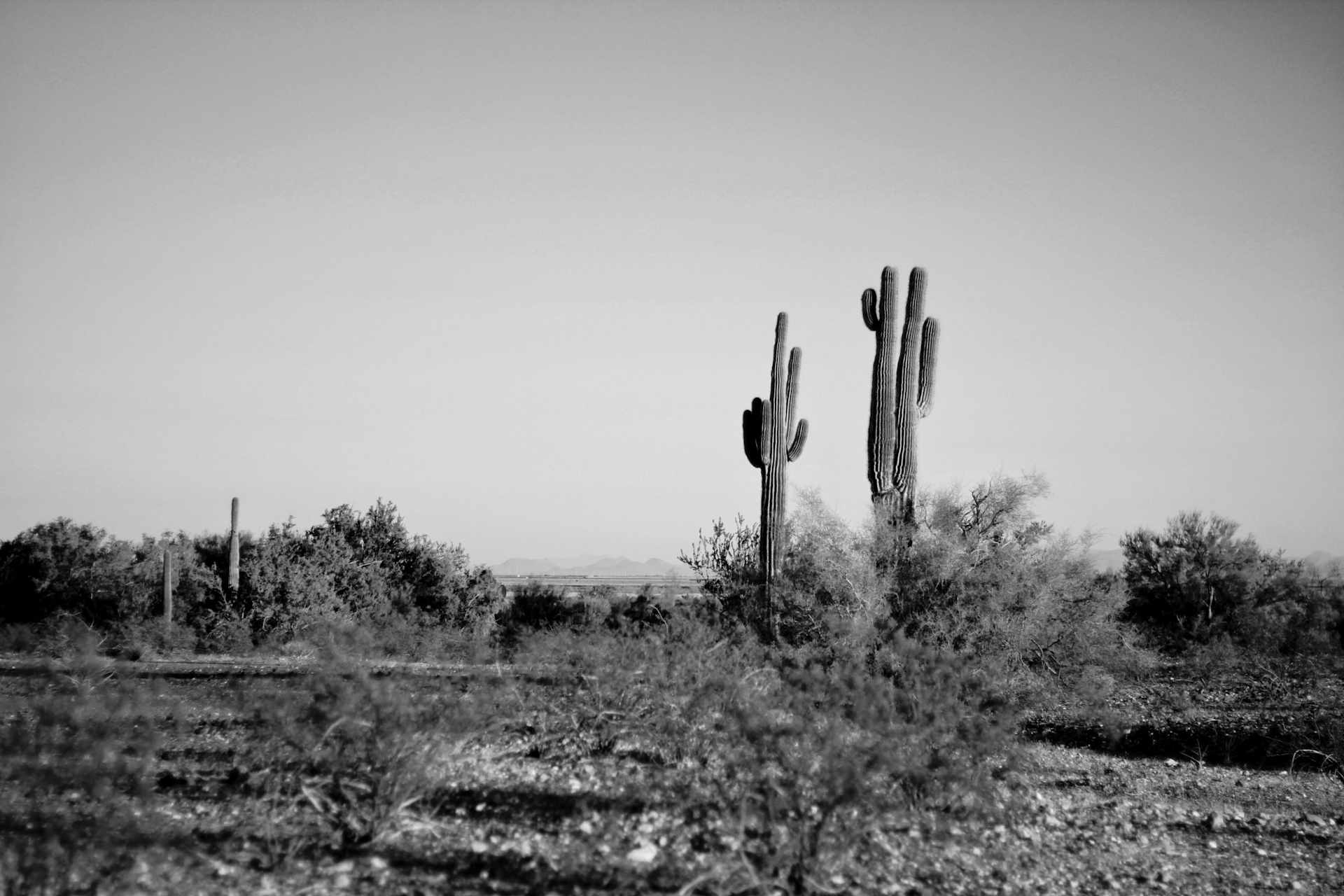 Justin Pistorius | The Listing Agent For The Elite