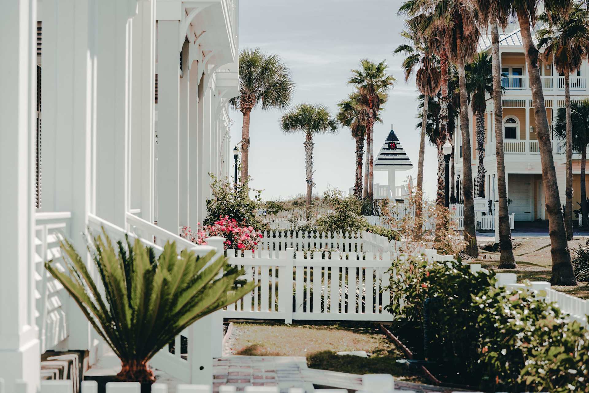 Ashley Wells-Suhr | Bonita Springs Real Estate Agent