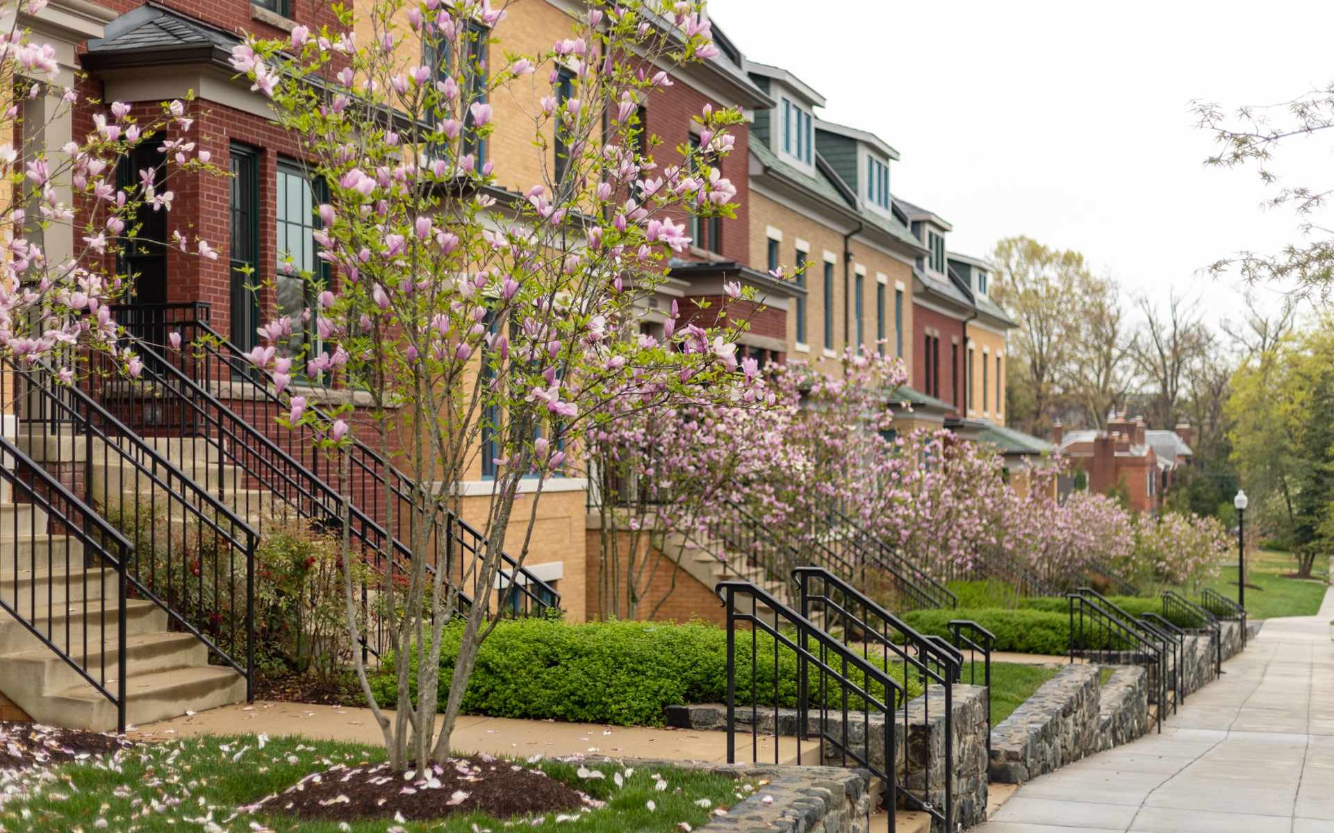 Buy Back Guarantee | DMV Living Group | Real Estate