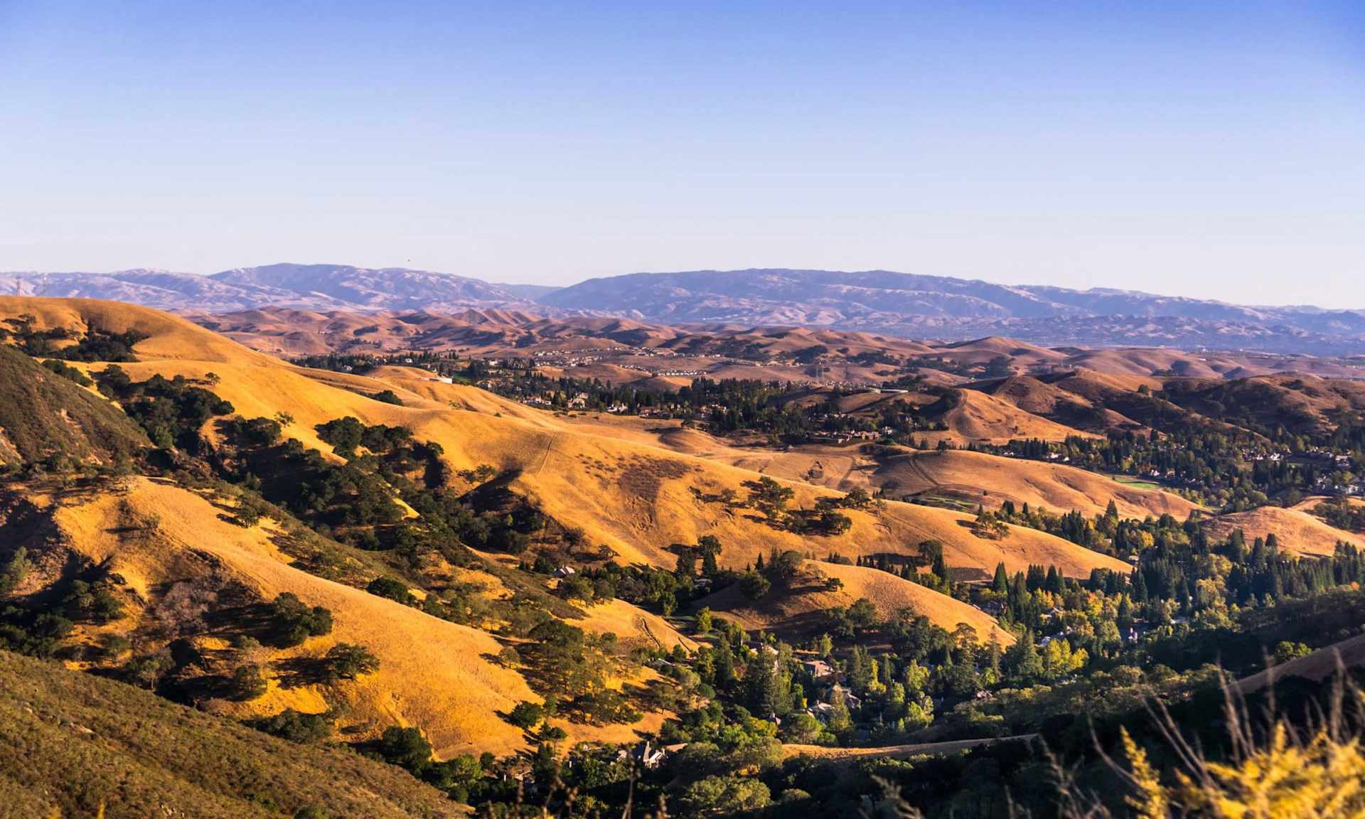 Alvarez & Associates - BLVD. Real Estate - Gilroy Homes to Buy and Sell