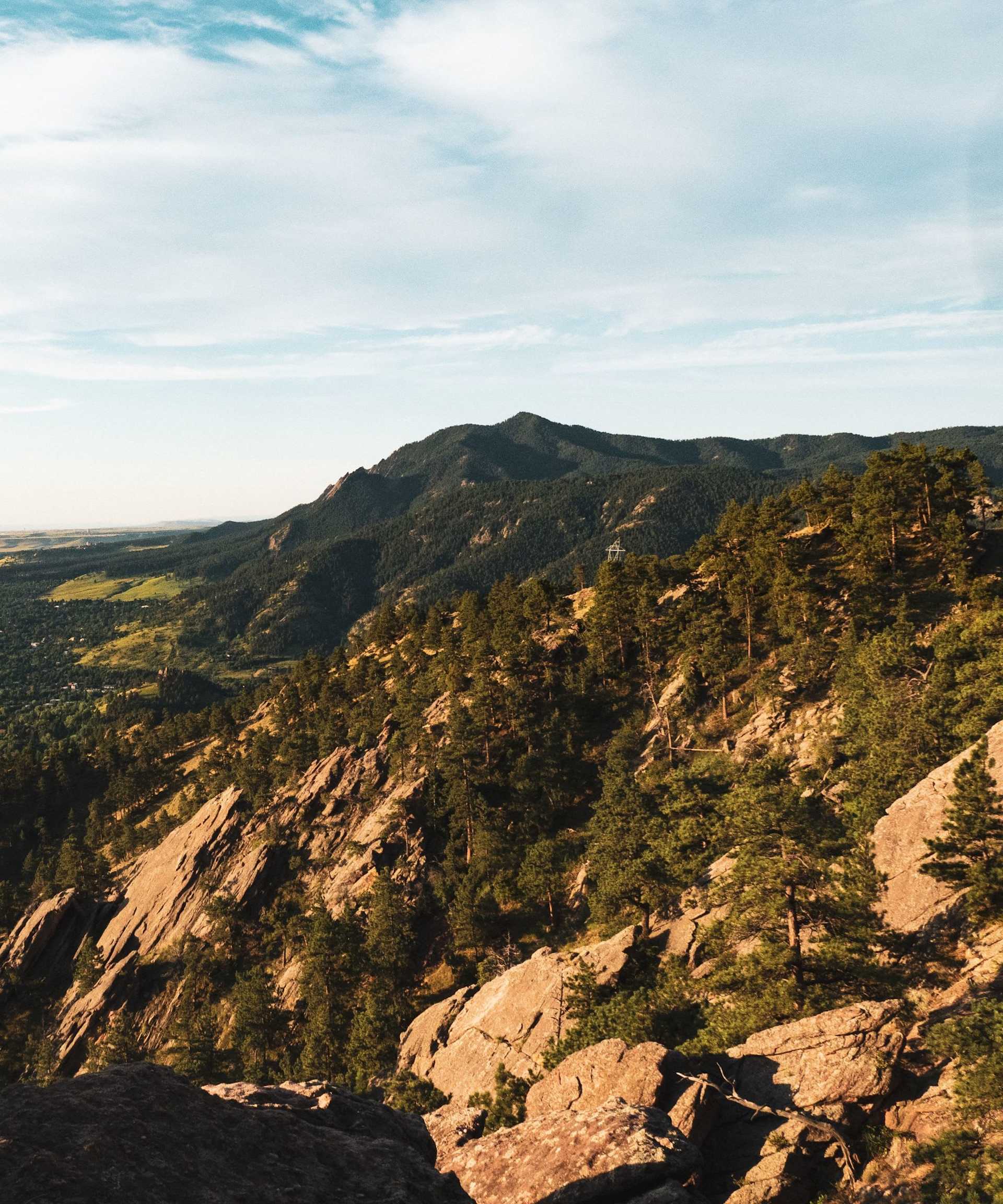 LSP Real Estate LLC | Denver Real Estate Team