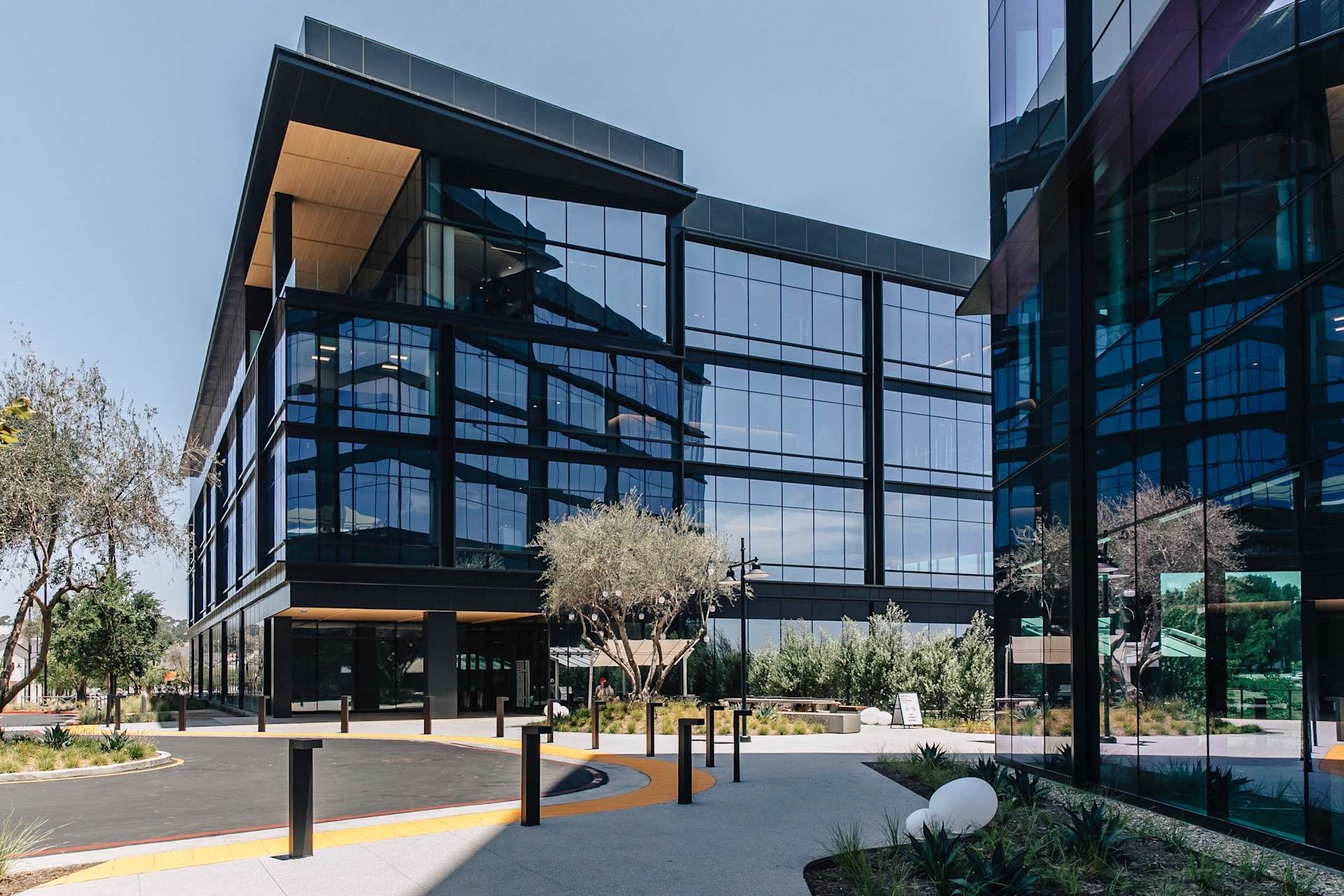 Meet the Team | San Diego Real Estate Expert