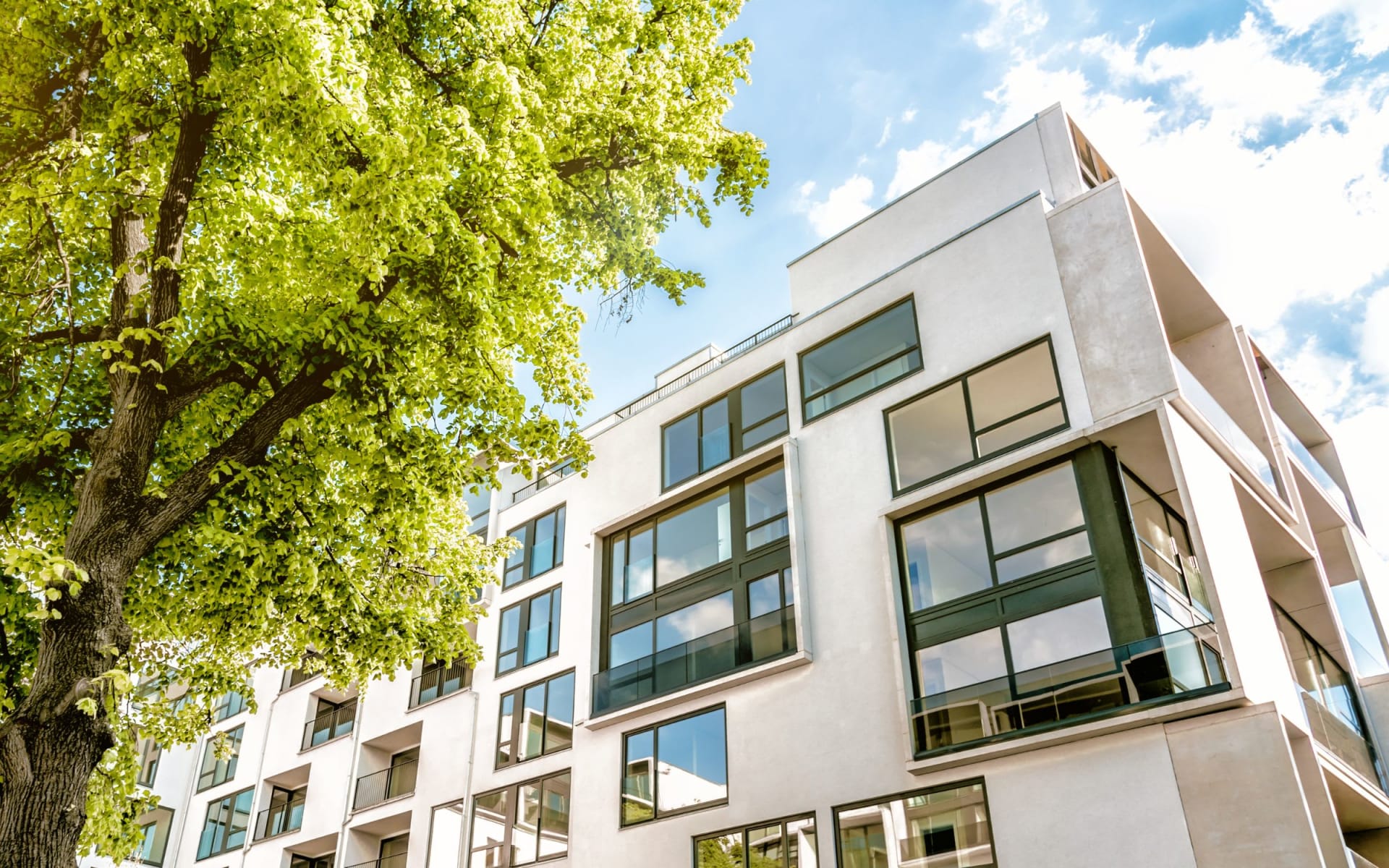 The Weiss Group | Austin Real Estate Experts