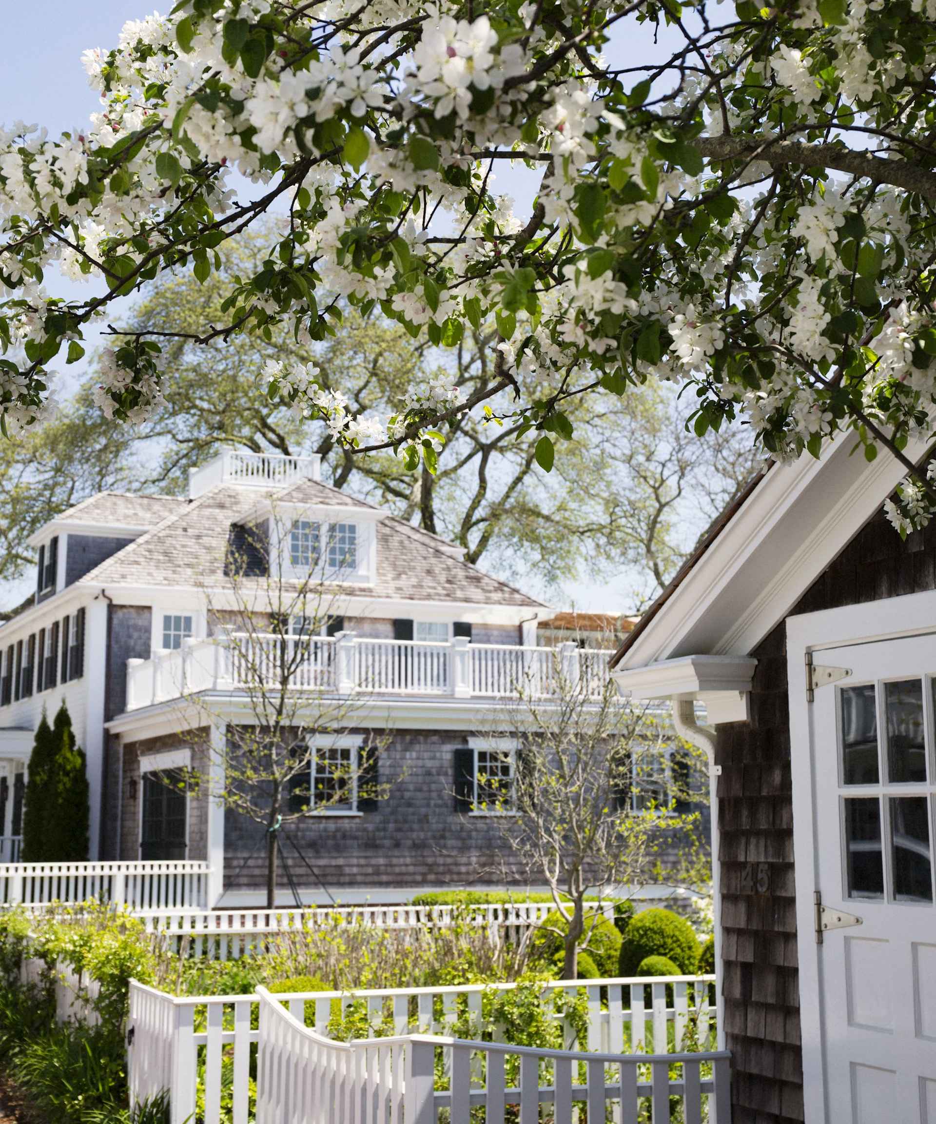 Catherine Triantis | DC, Maryland, and Virginia Real Estate