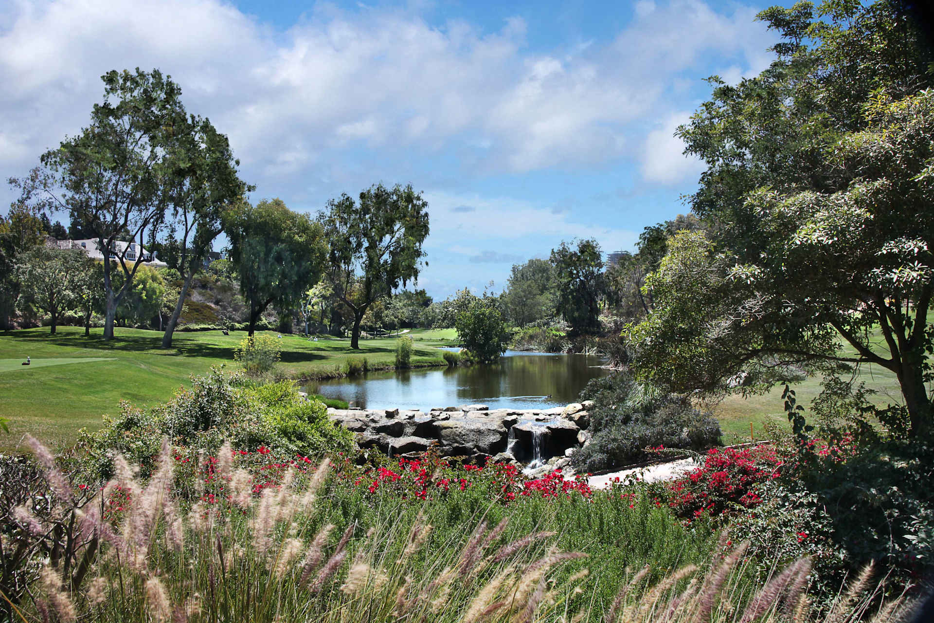 Meet the Team | Cypress Cove Real Estate