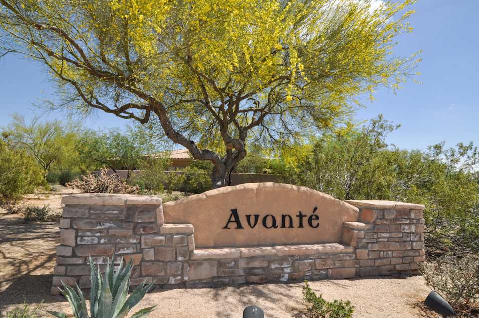 Avante | Community Guide