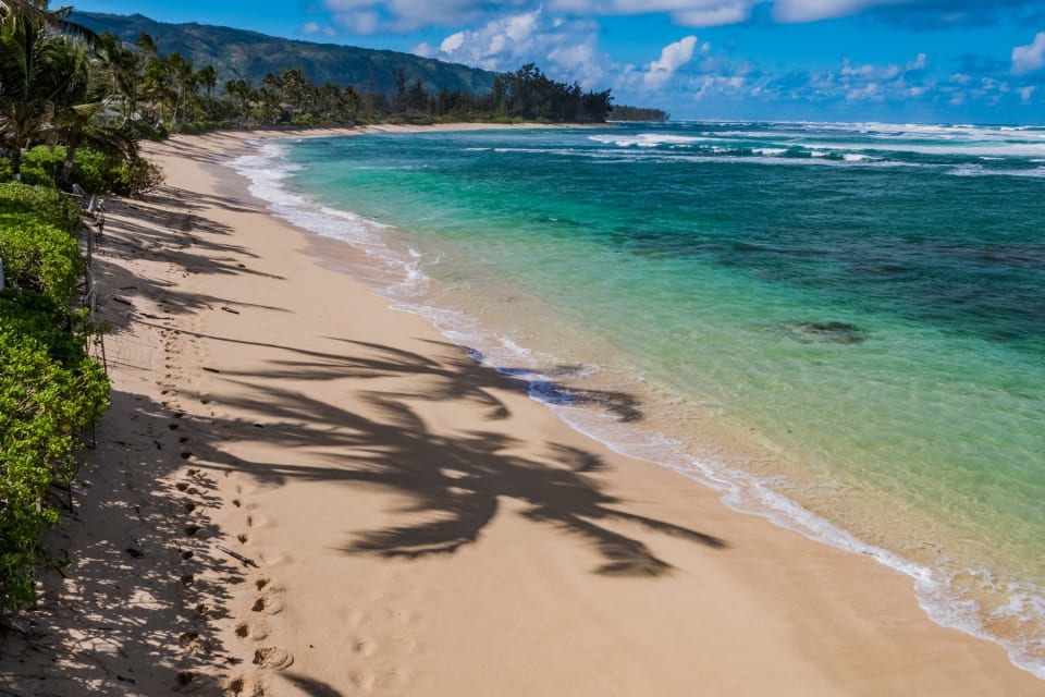Watch Surfing Queens in Waikiki | Surf Cam | Noel Shaw