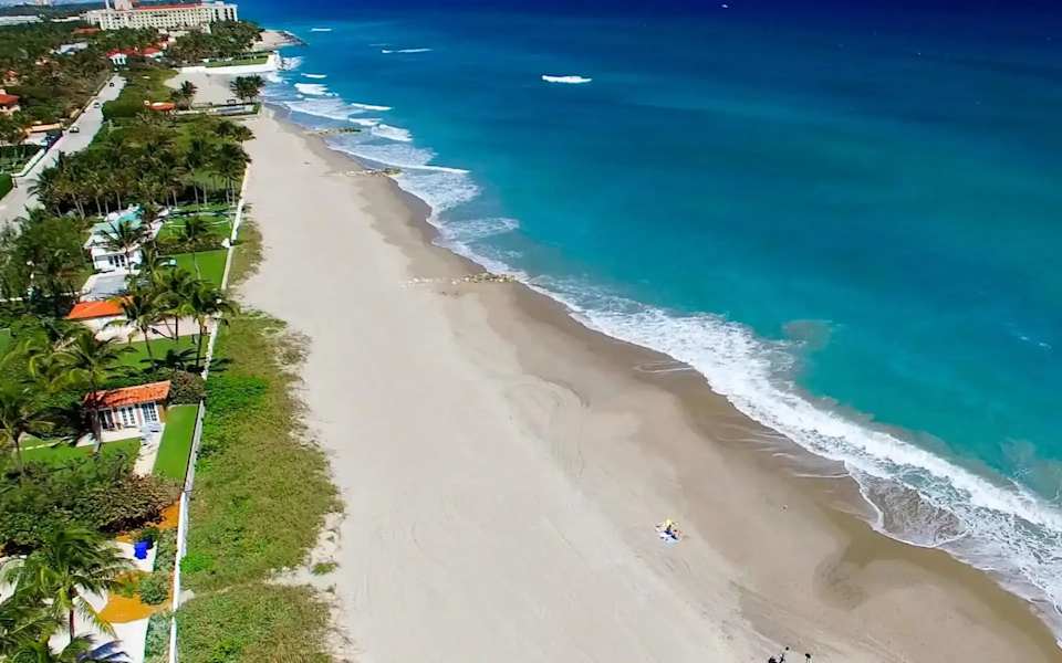 Palm | Neighborhood Guide