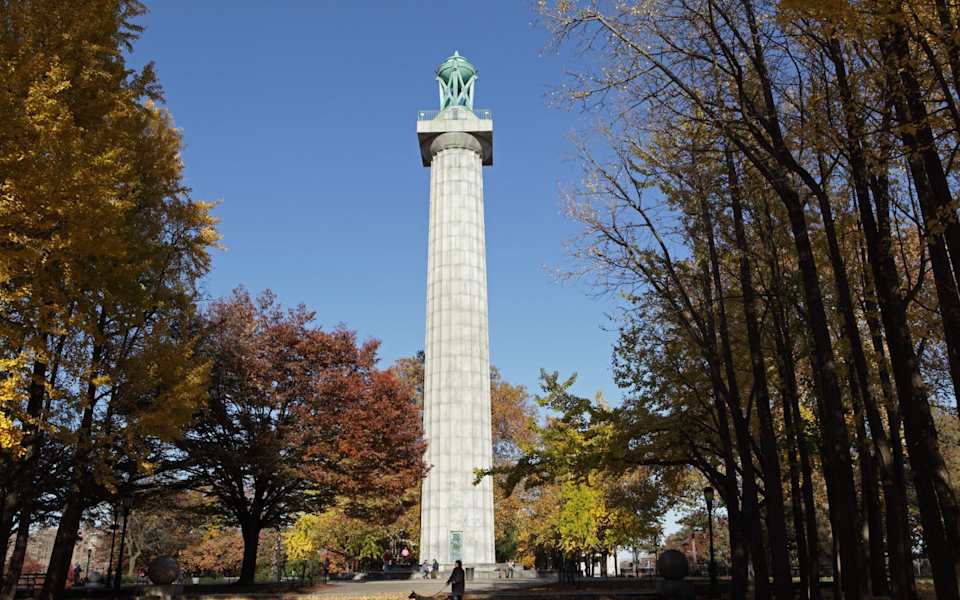 Fort Greene | Neighborhood Guide