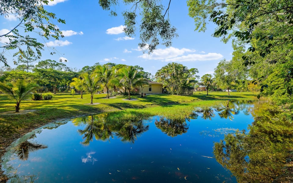 All the Best Things About Jupiter Farms | Blog | The Wolfe Team