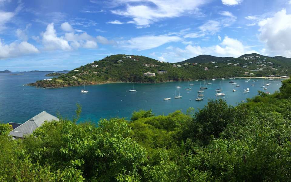 Great Cruz Bay | Neighborhood Guide