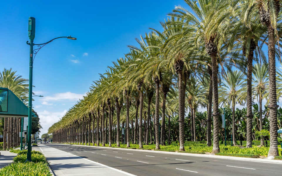 Anaheim | Neighborhood Guide
