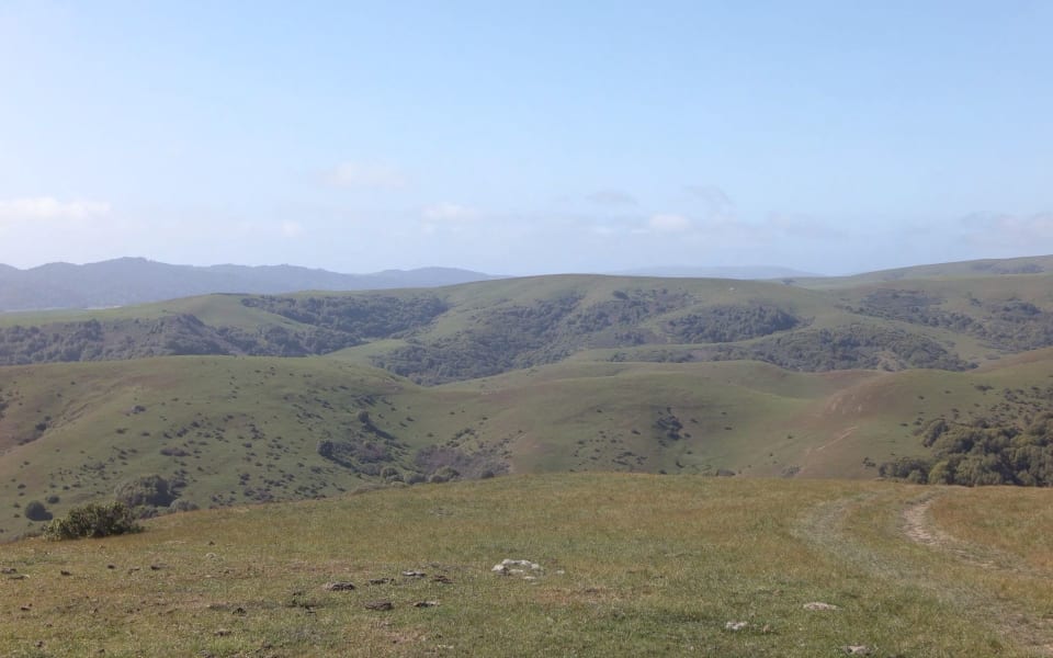 Martinelli Ranch | Peter Maselli