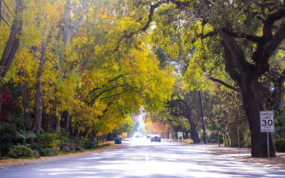 Atherton | Neighborhood Guide | George Anagnostou